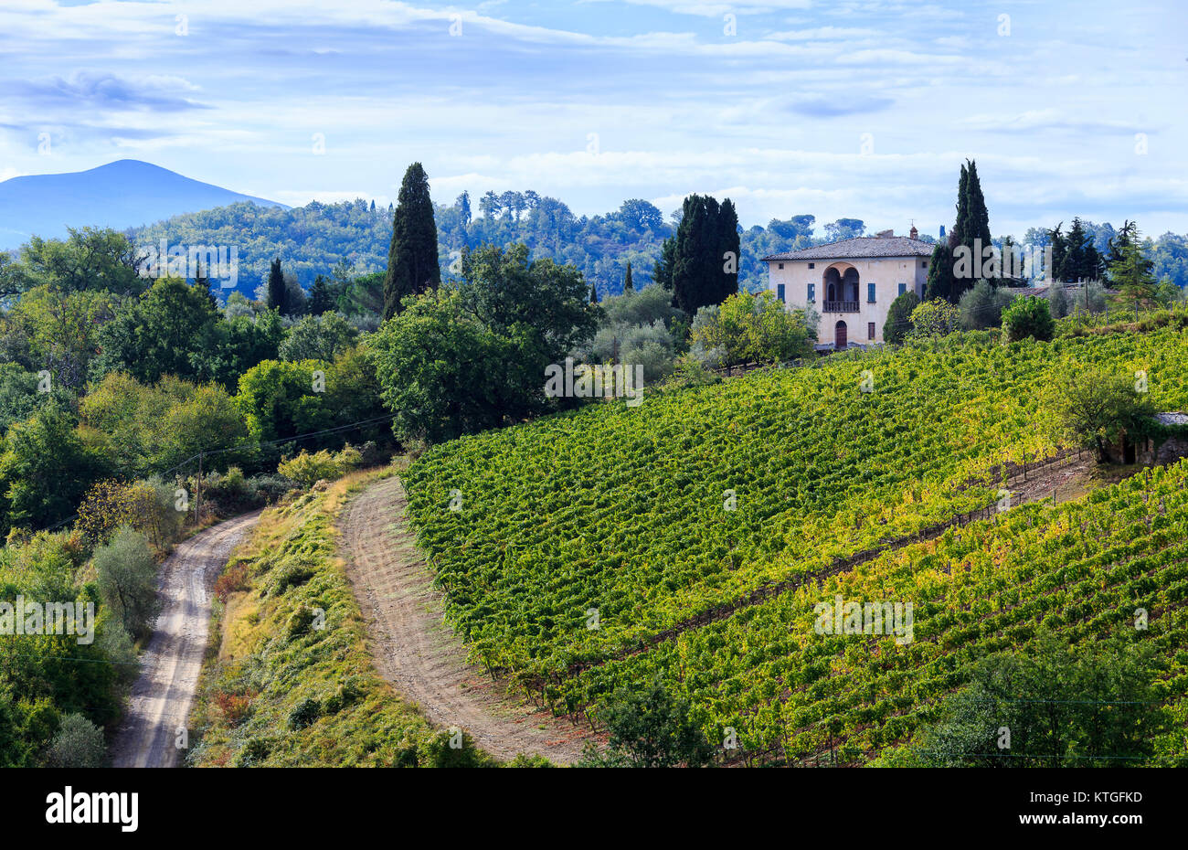 Vigneti toscana italia immagini e fotografie stock ad alta risoluzione ...
