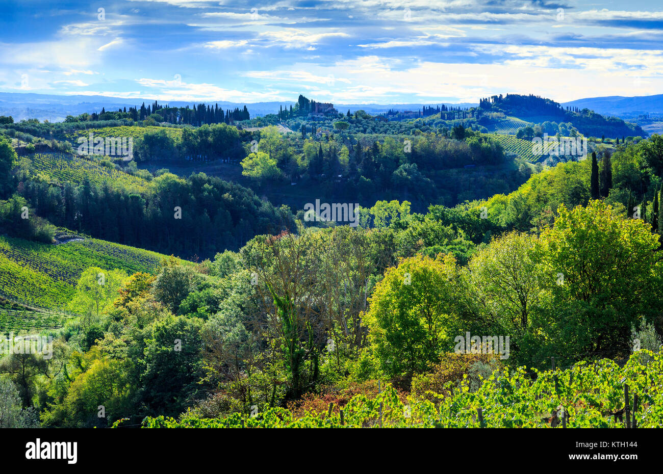 Vigneti toscana italia immagini e fotografie stock ad alta risoluzione ...