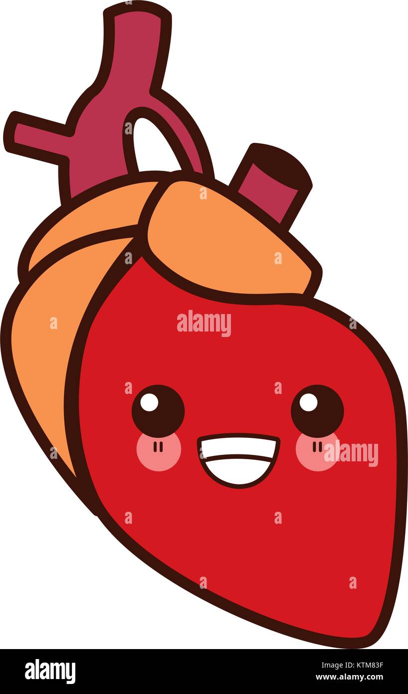 Cuore umano simbolo kawaii simpatico cartoon illustrazione vettoriale ...
