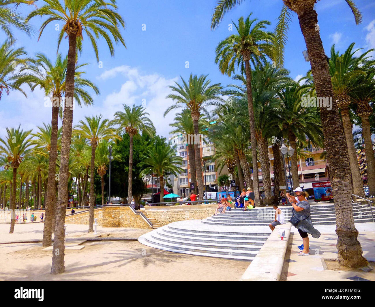 Parque De Elche Immagini e Fotos Stock - Alamy