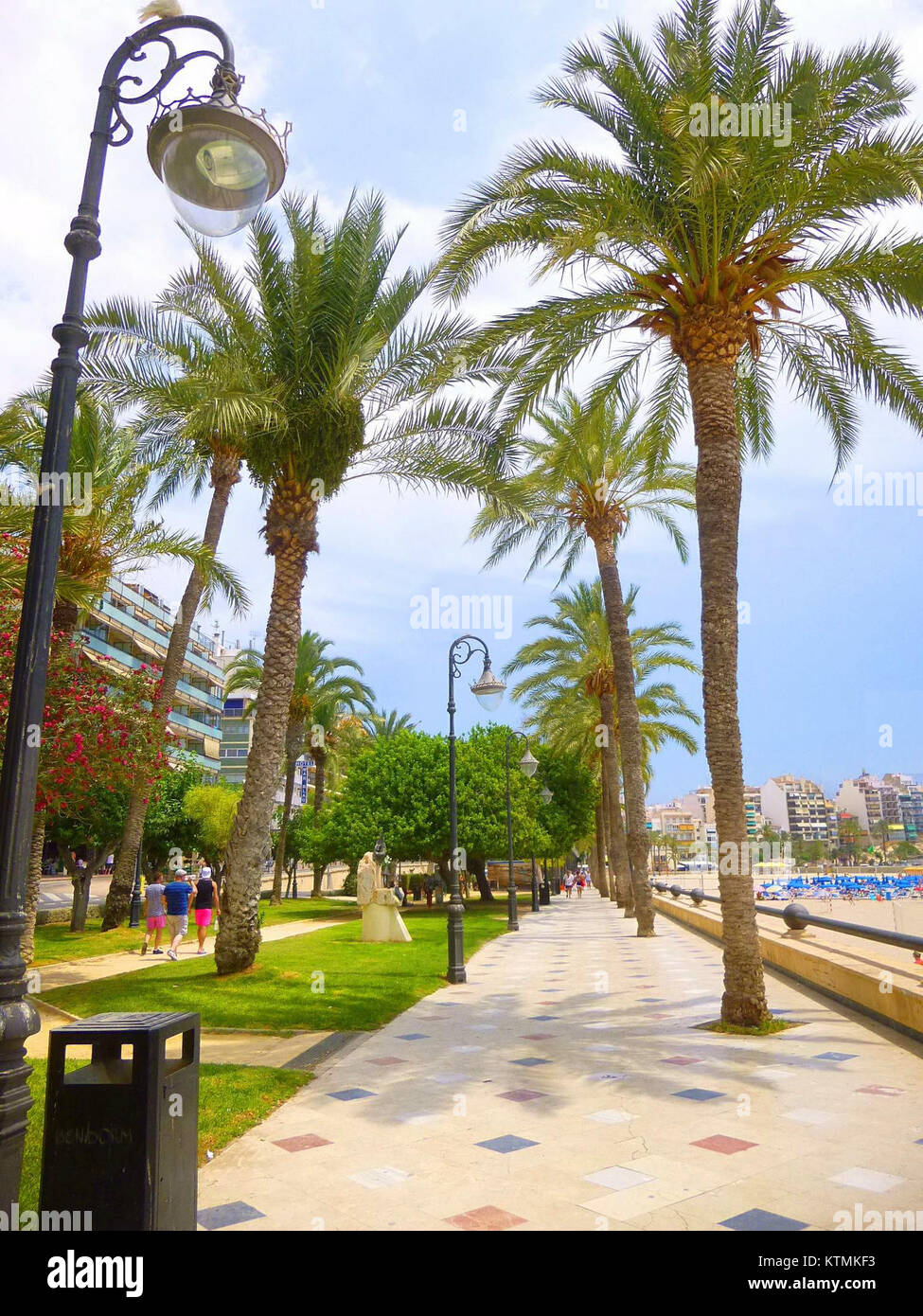 Parque de elche immagini e fotografie stock ad alta risoluzione - Alamy