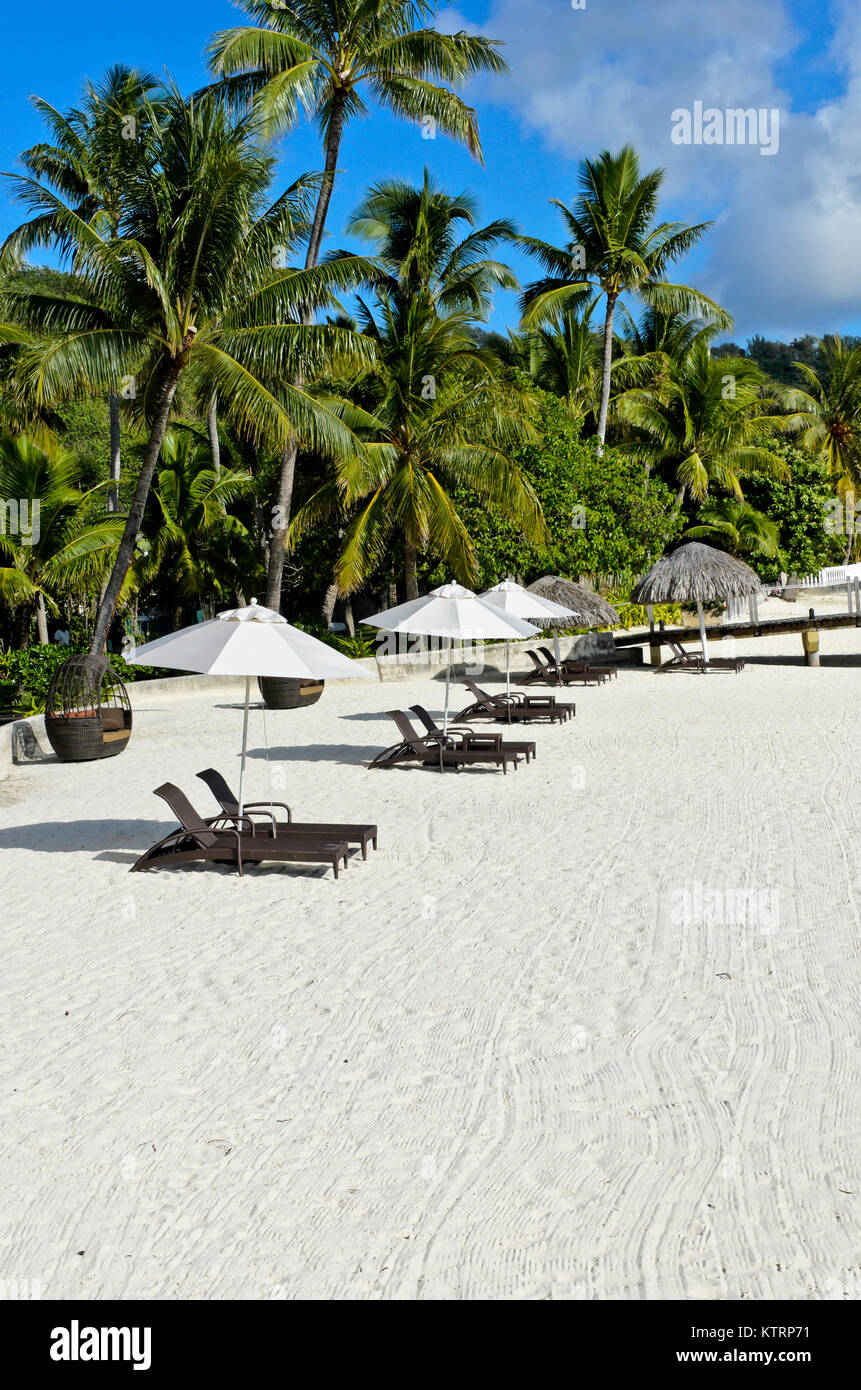 French polynesia bora bora moana immagini e fotografie stock ad alta ...