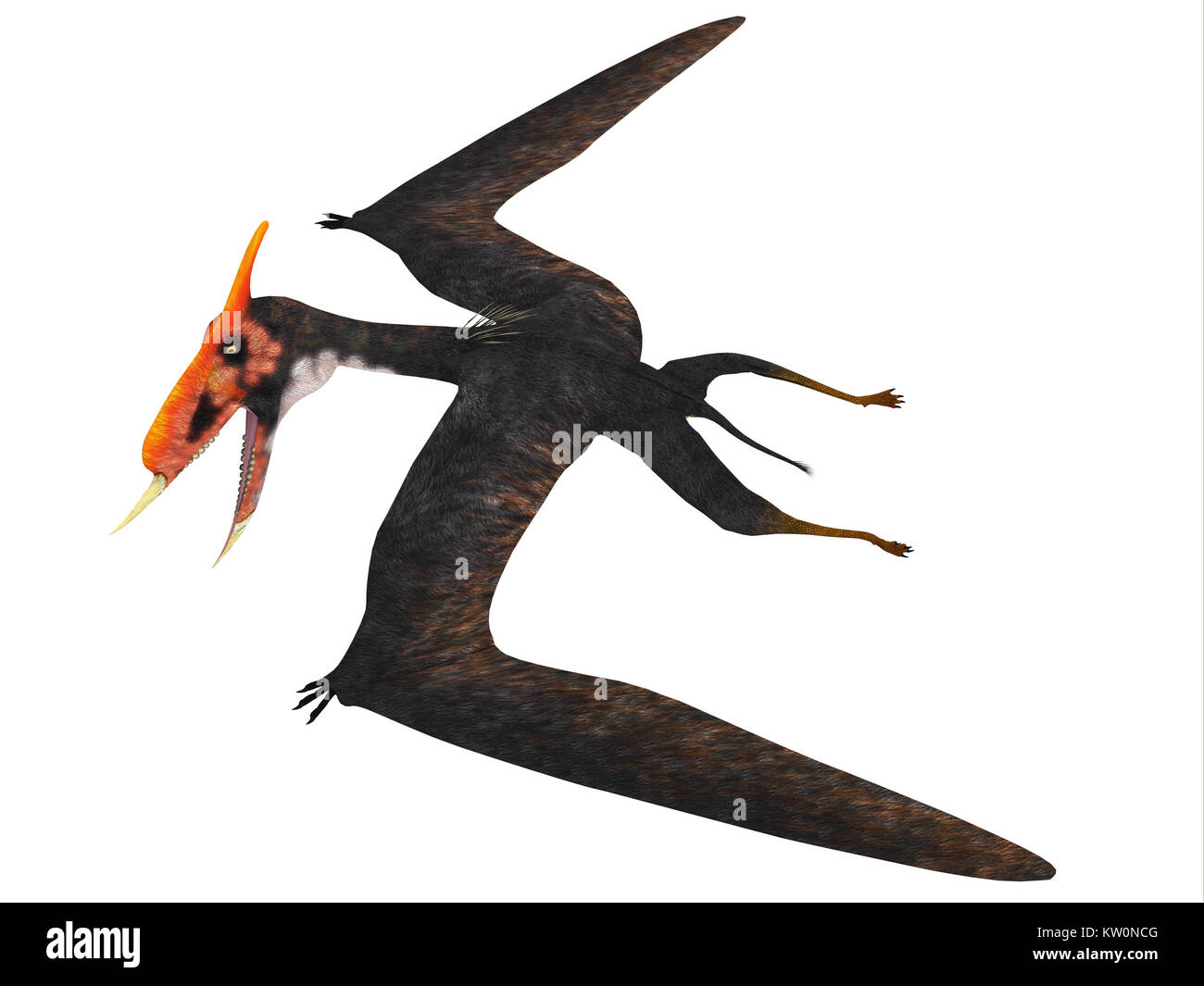 Dsungaripterus weii immagini e fotografie stock ad alta risoluzione - Alamy