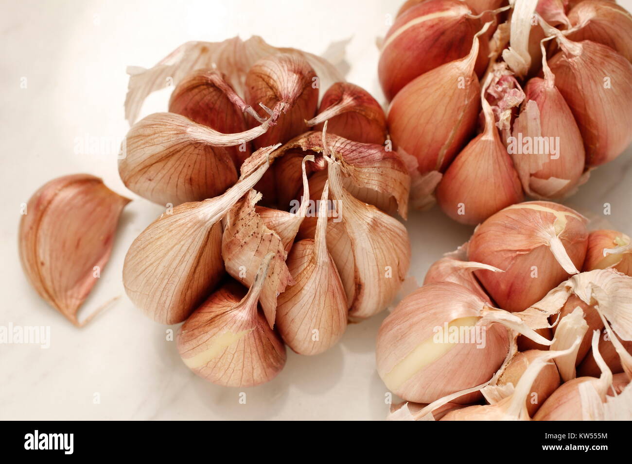 Allium sativum immagini e fotografie stock ad alta risoluzione - Alamy
