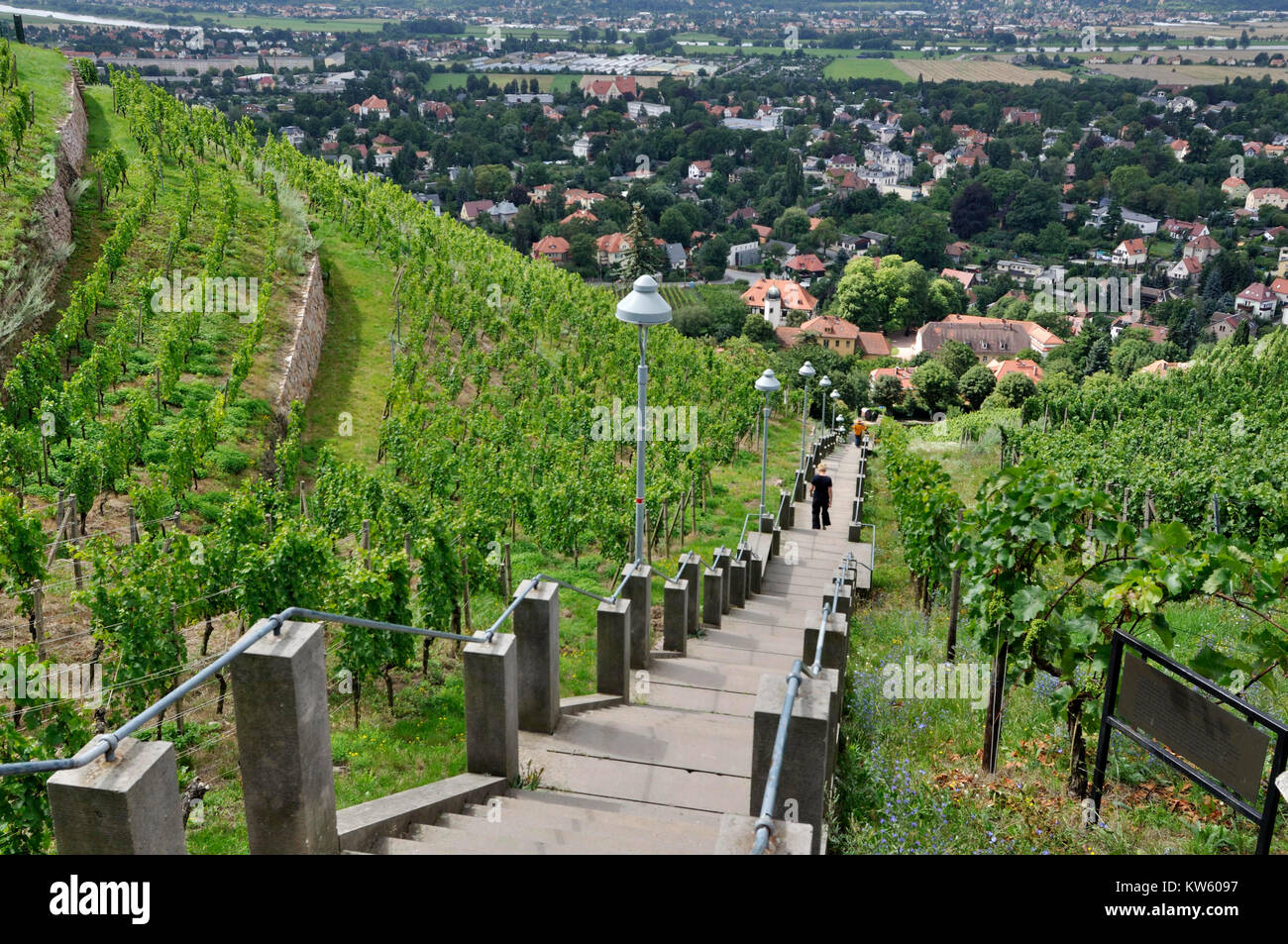 Conservazione dei monumenti e degli edifici storici dell'area storica ...