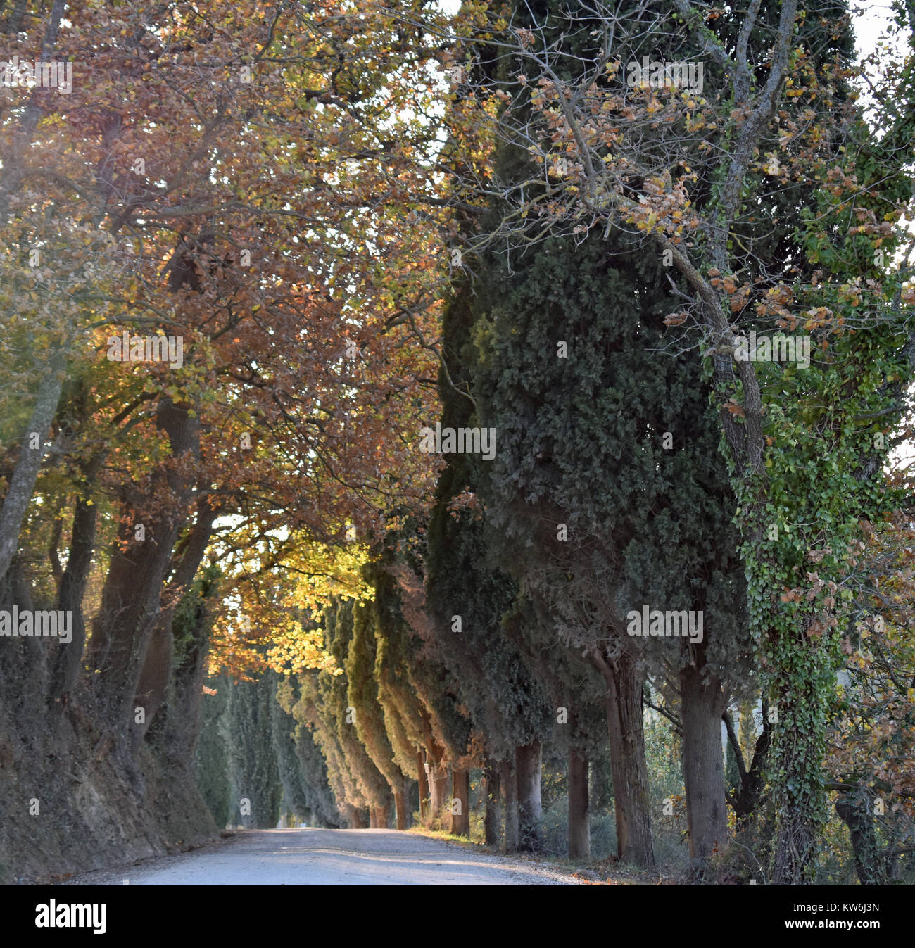 Dove andare in toscana immagini e fotografie stock ad alta risoluzione ...