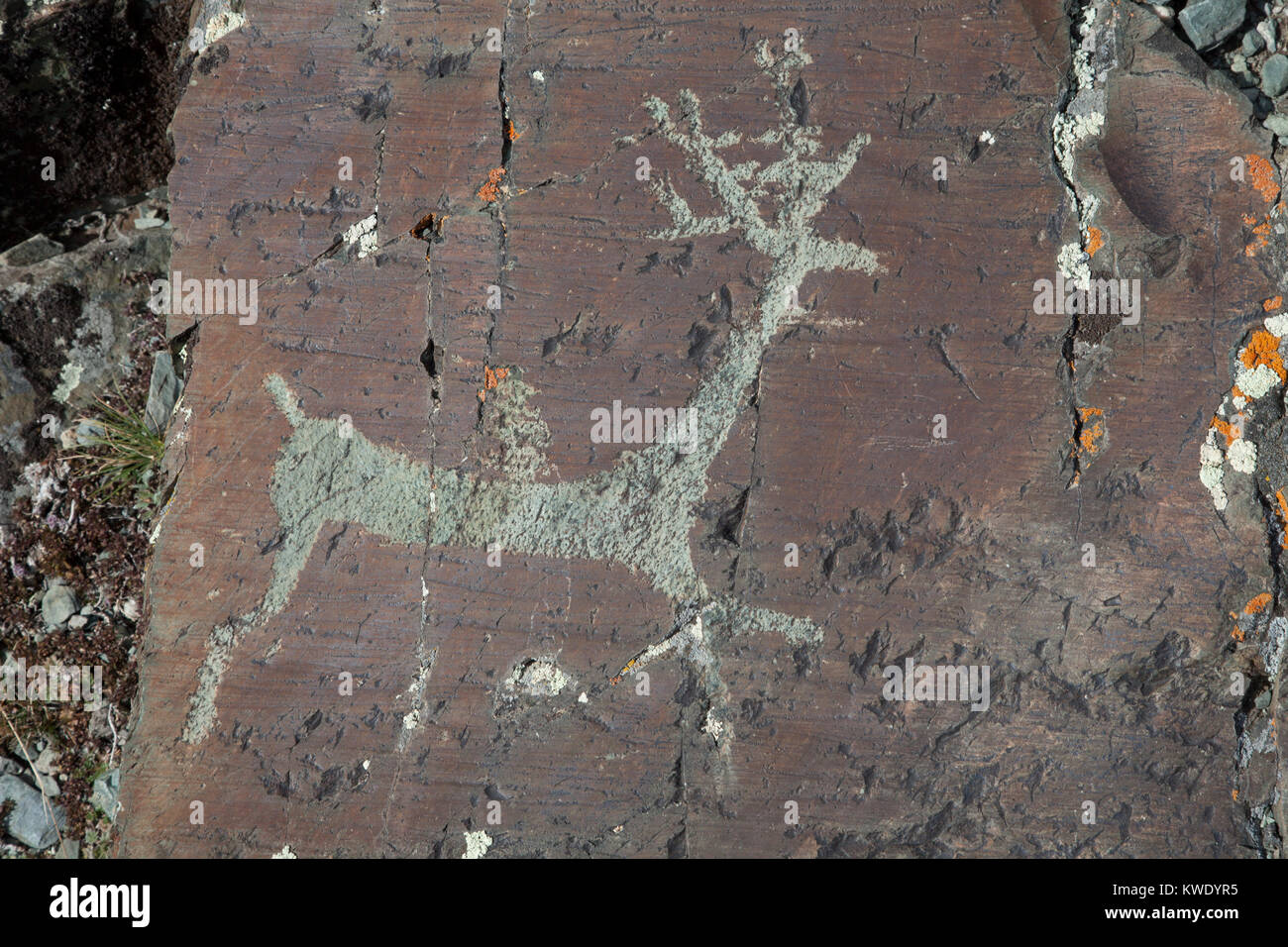 Graffiti preistorici rupestri immagini e fotografie stock ad alta ...