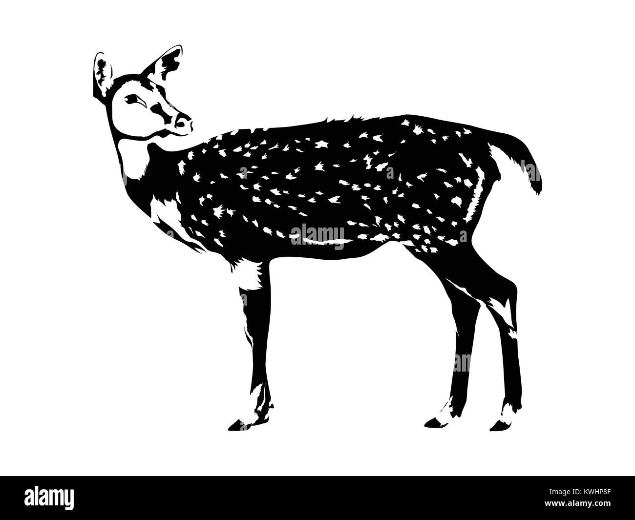 Cervo maculato bianco Immagini Vettoriali Stock - Alamy