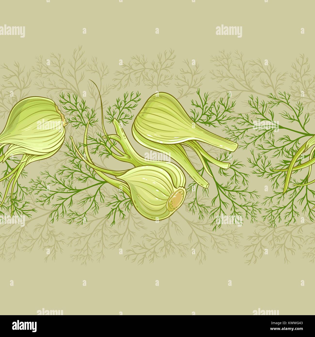 Pianta di finocchio Immagini Vettoriali Stock - Alamy