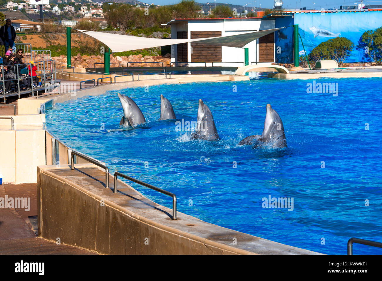 Parco dei delfini immagini e fotografie stock ad alta risoluzione - Alamy