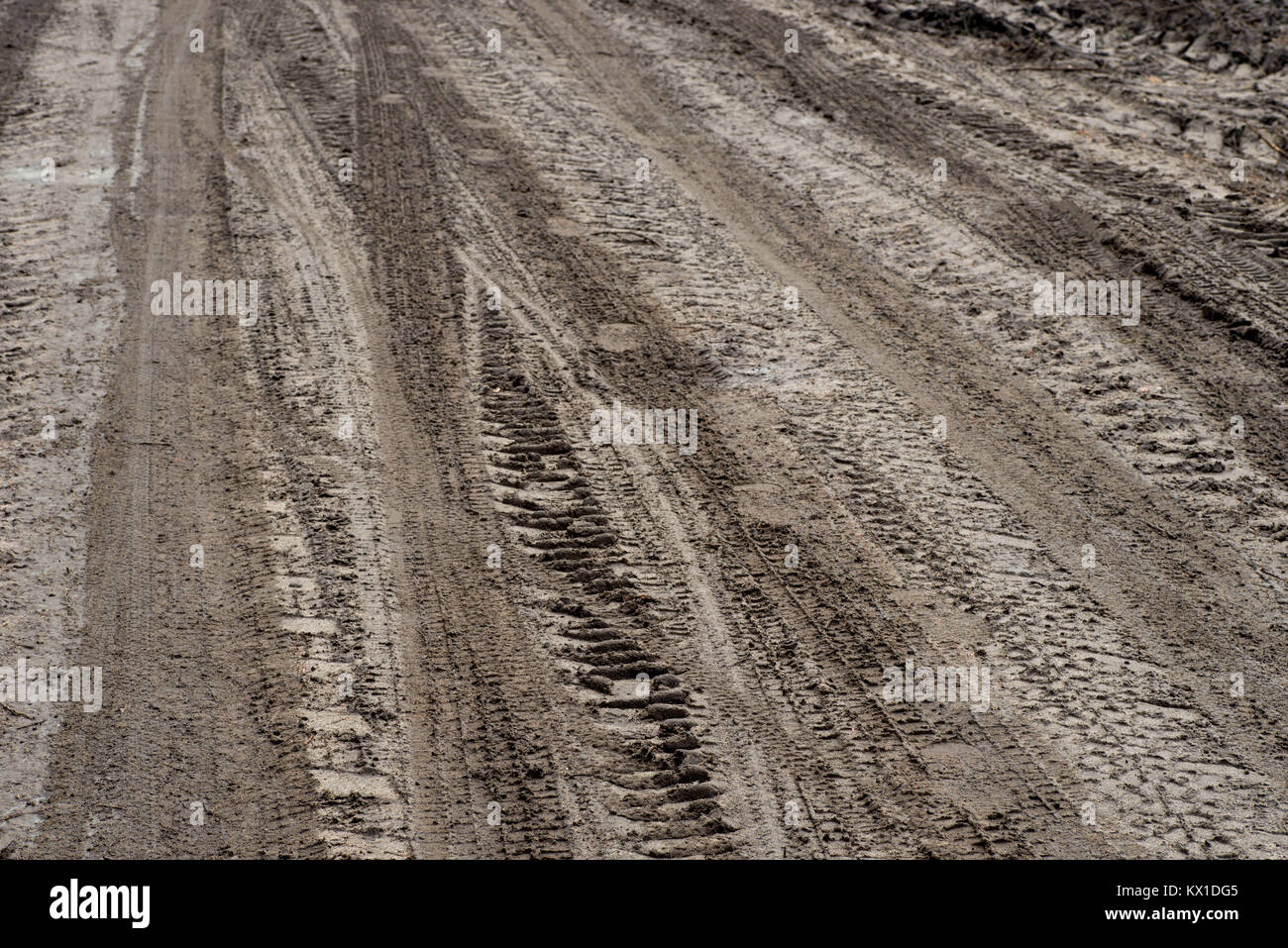 Pista sterrata bagnata immagini e fotografie stock ad alta risoluzione ...