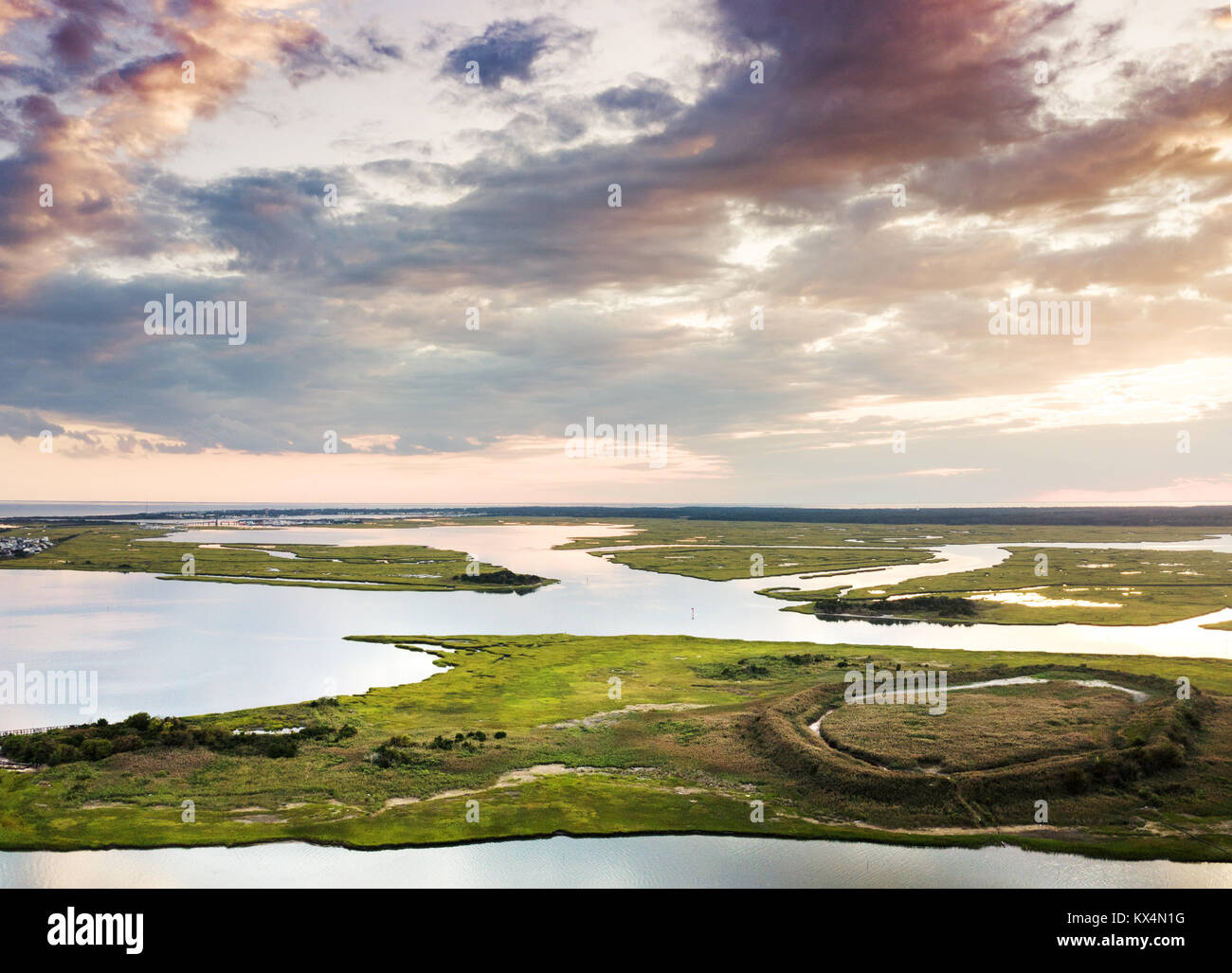 Di una palude immagini e fotografie stock ad alta risoluzione - Alamy