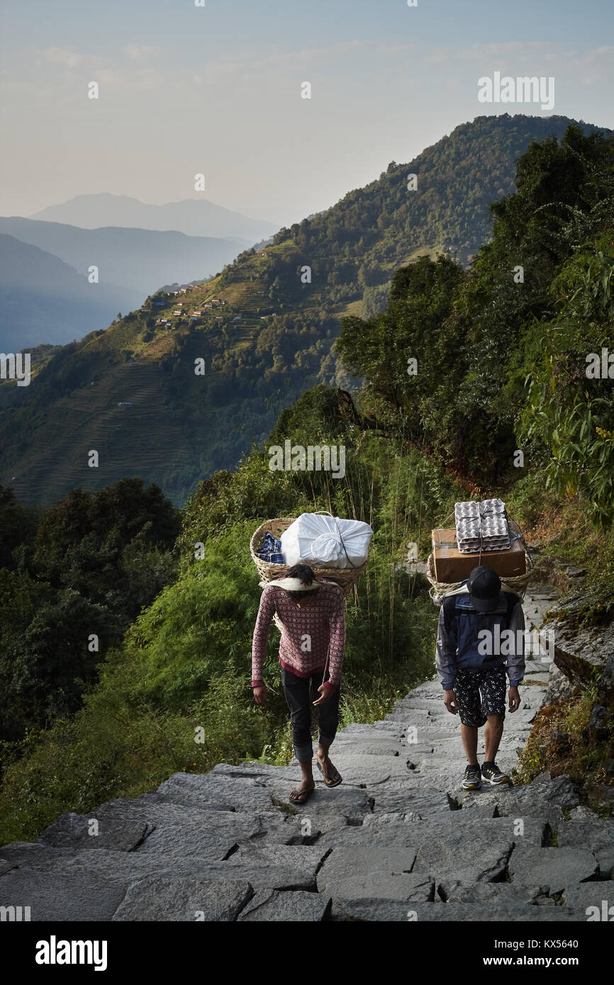Chomrong village immagini e fotografie stock ad alta risoluzione - Alamy