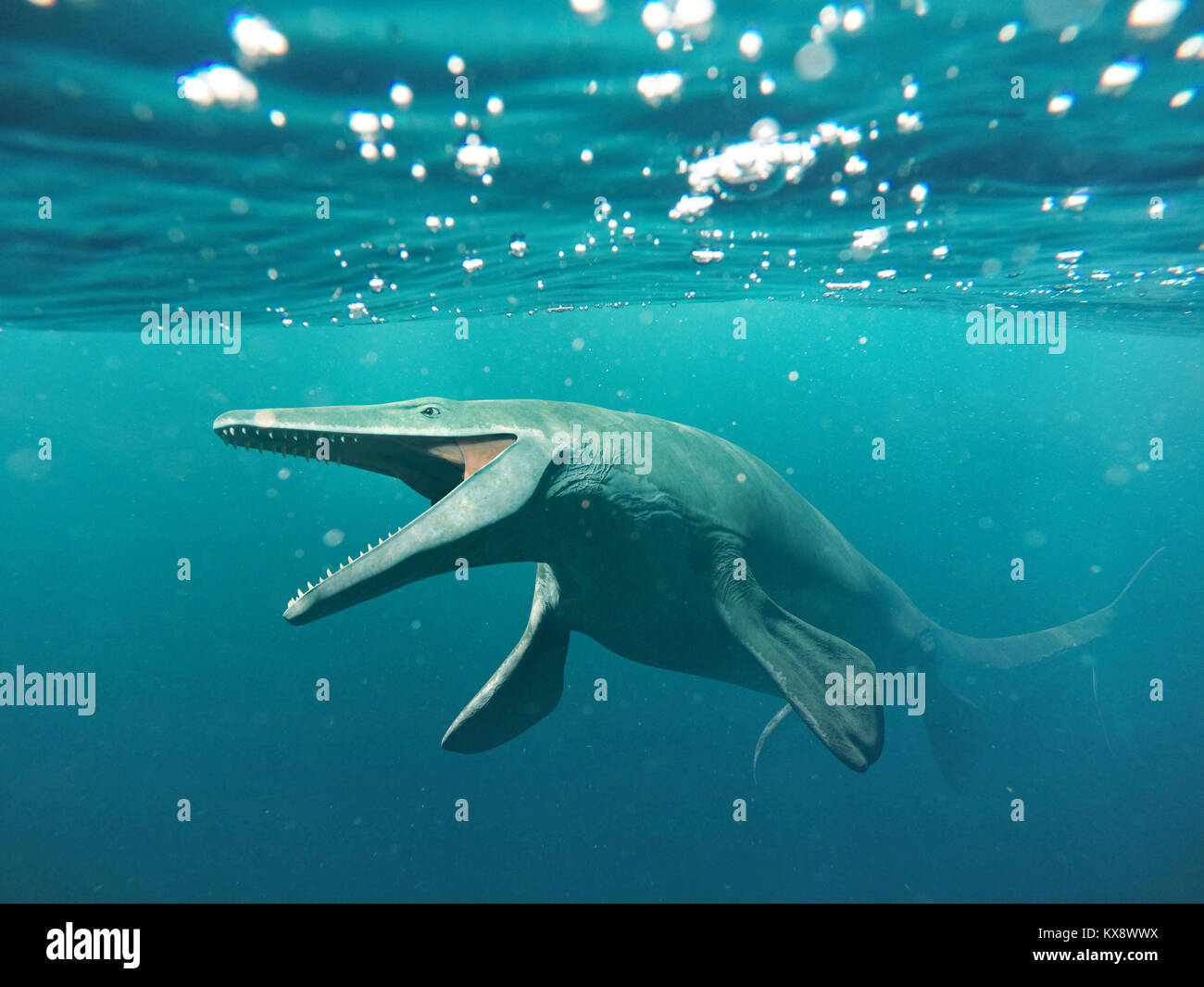 Mosasaurus, 17m lucertola acquatica, tra 70 e 66 milioni di anni fa ...