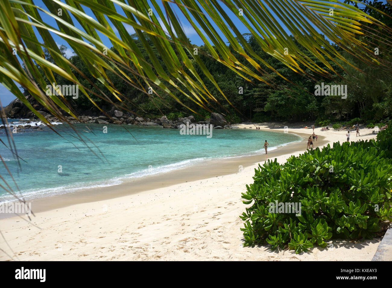 Anse barbarons immagini e fotografie stock ad alta risoluzione - Alamy