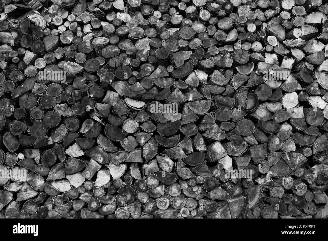 Tagliare il legno Foto e Immagini Stock in Bianco e Nero - Alamy