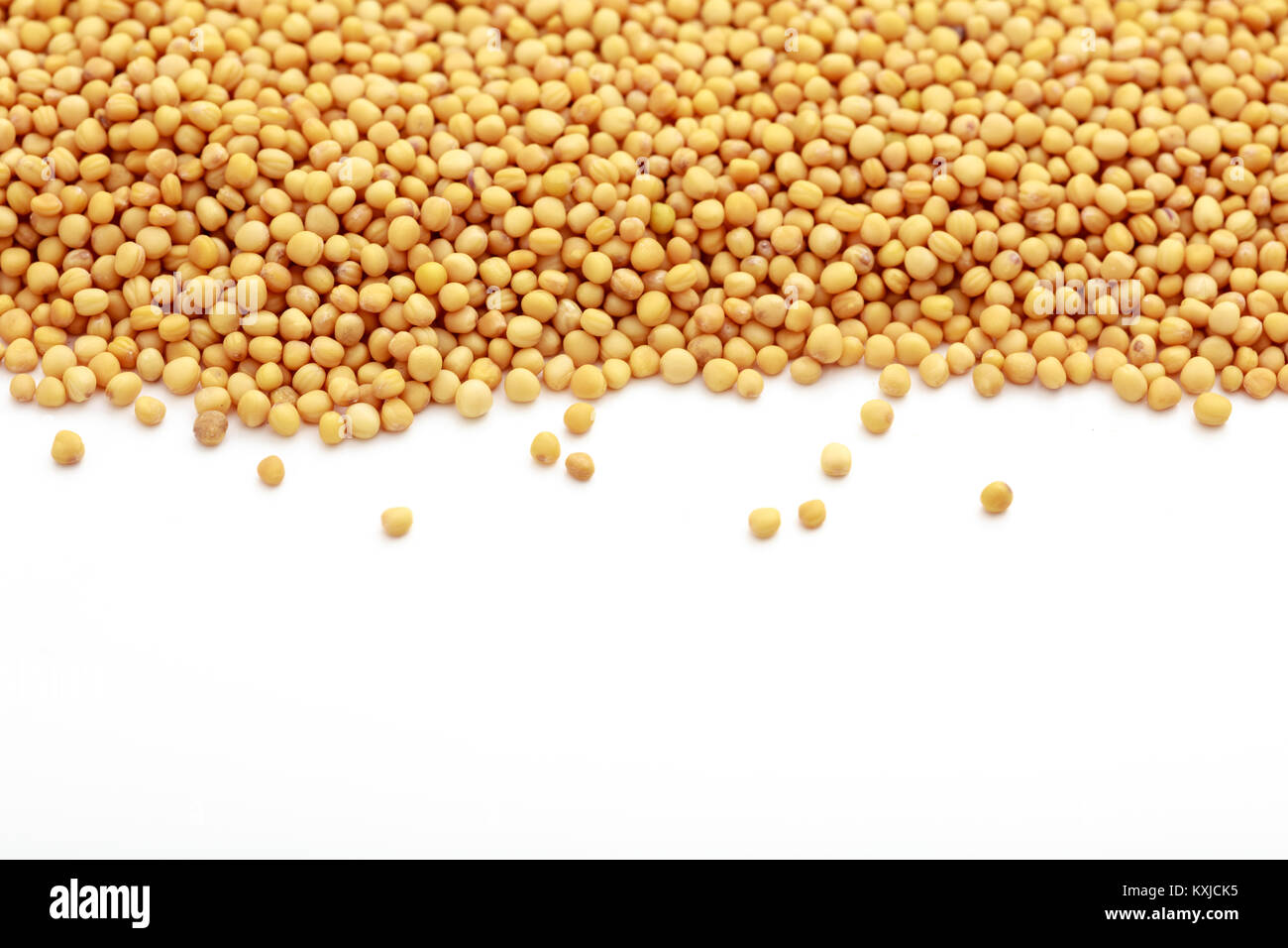 Grano di senape immagini e fotografie stock ad alta risoluzione - Alamy