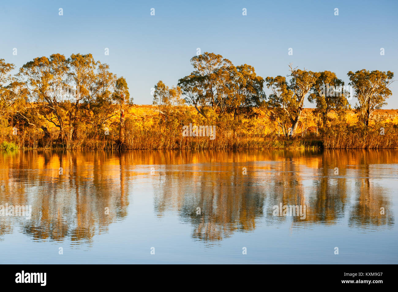 Murray river immagini e fotografie stock ad alta risoluzione - Alamy