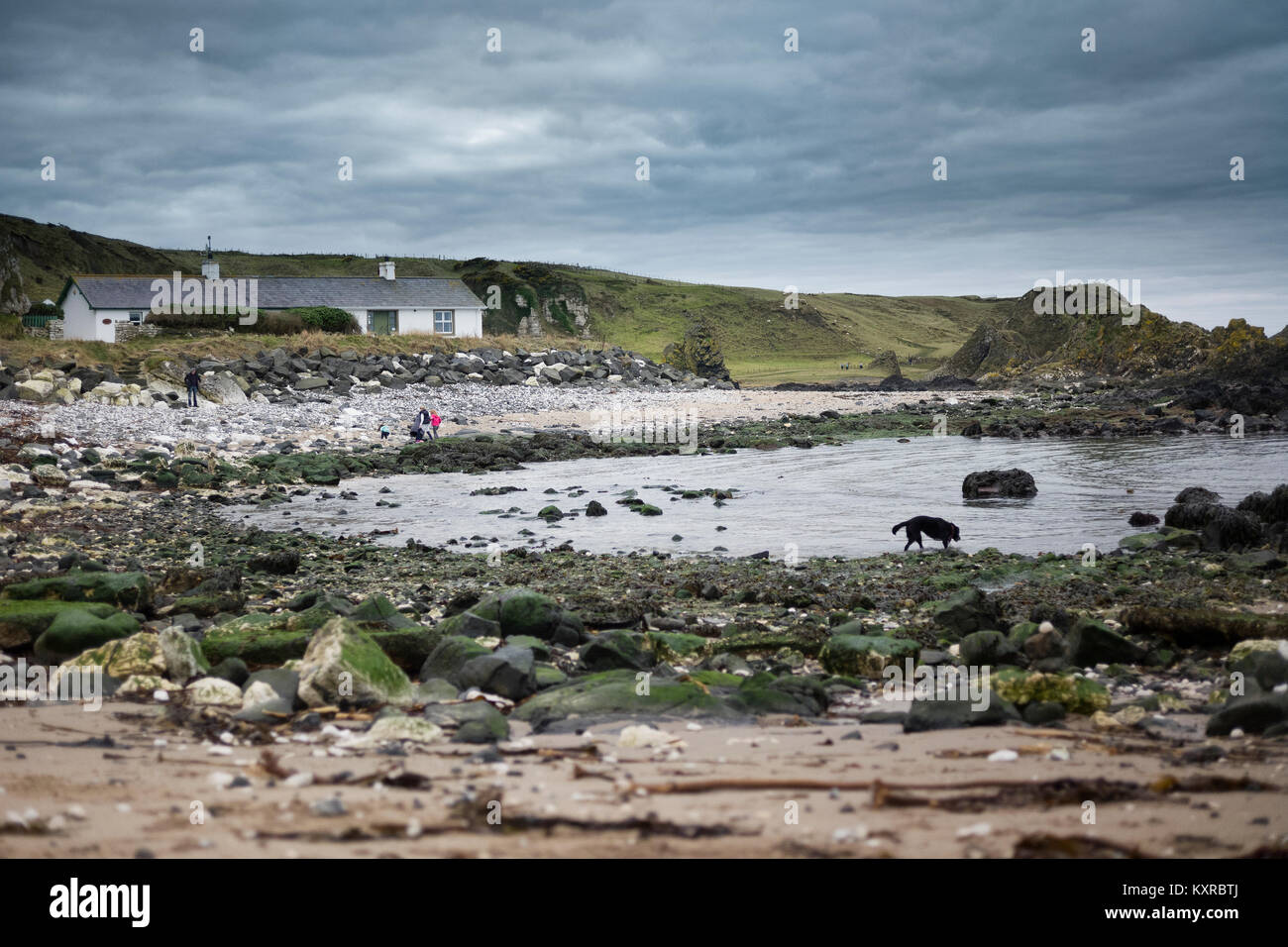 Spiaggia di ballycastle immagini e fotografie stock ad alta risoluzione ...