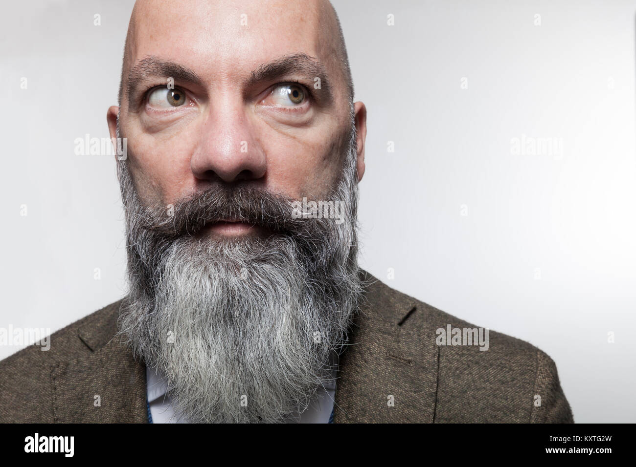 Primo piano di un uomo calvo con la barba lunga, isolato su grigio Foto ...