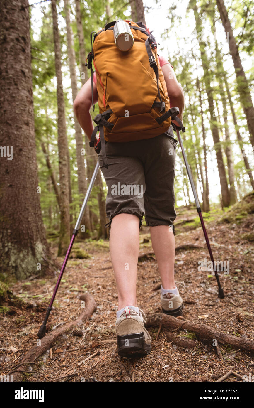 Foresta di escursione della donna immagini e fotografie stock ad alta ...