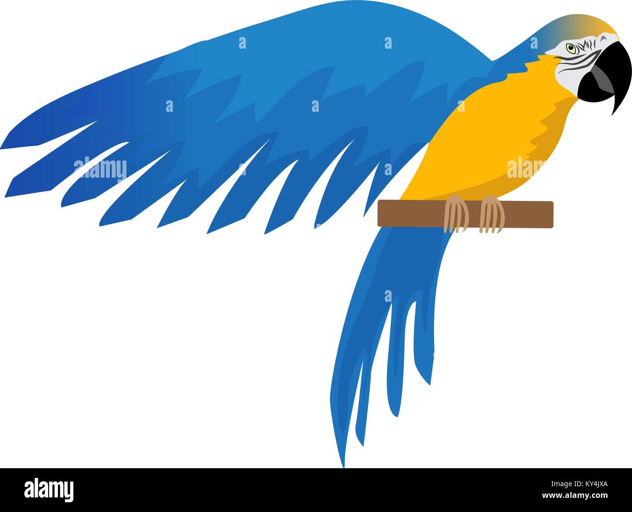 Pappagallo Ara ararauna icona piana, stile cartoon. Blu-giallo macaw ...