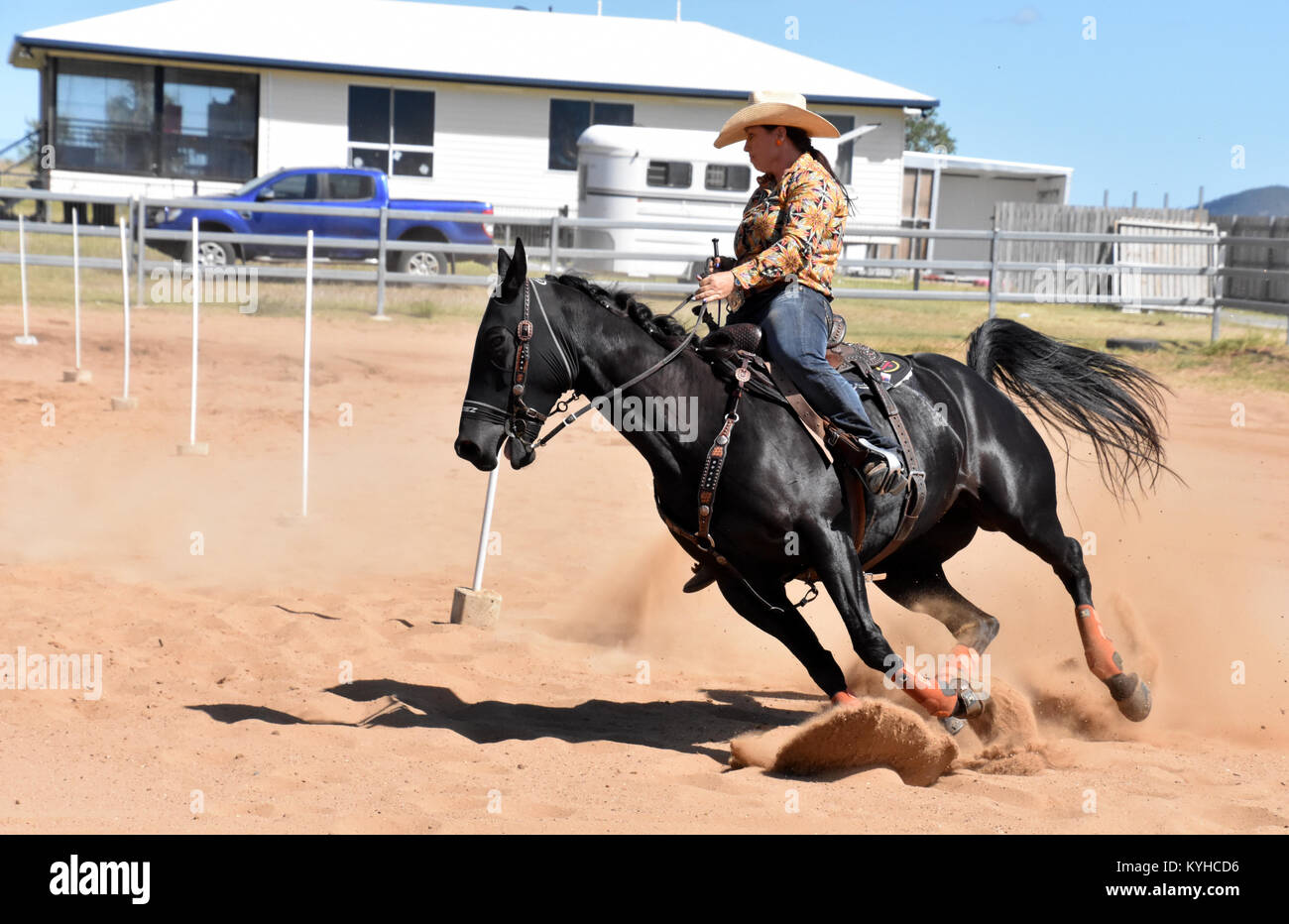 Galloping horse legs immagini e fotografie stock ad alta risoluzione ...