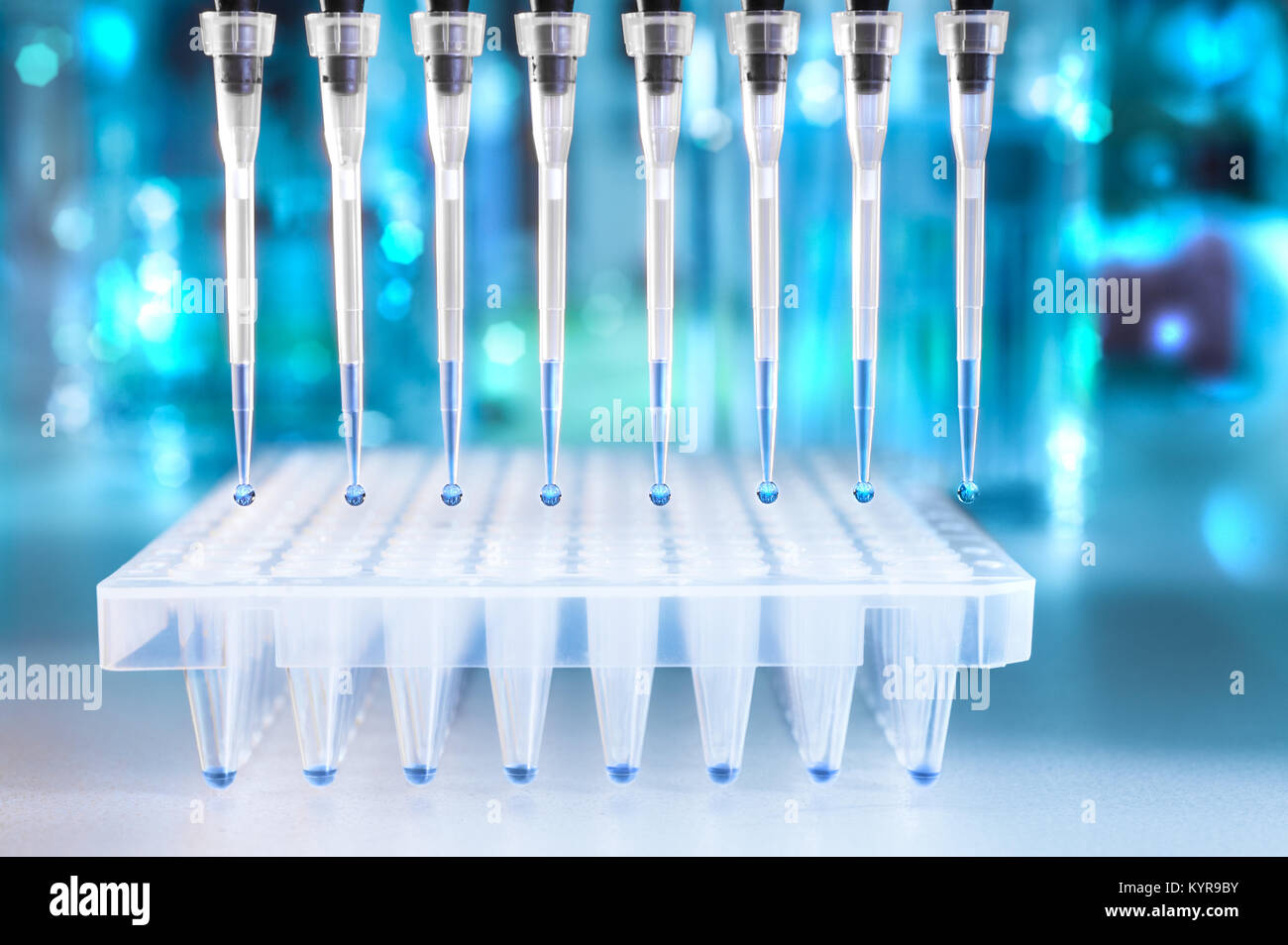 Piastra 96 pozzetti immagini e fotografie stock ad alta risoluzione - Alamy