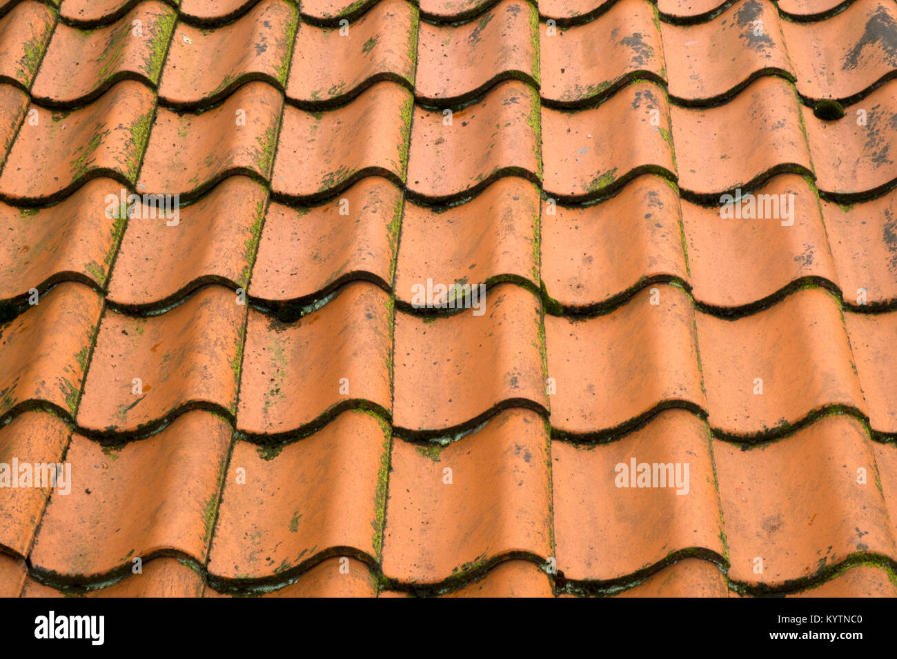 Tegole del tetto full frame texture di sfondo Foto stock - Alamy