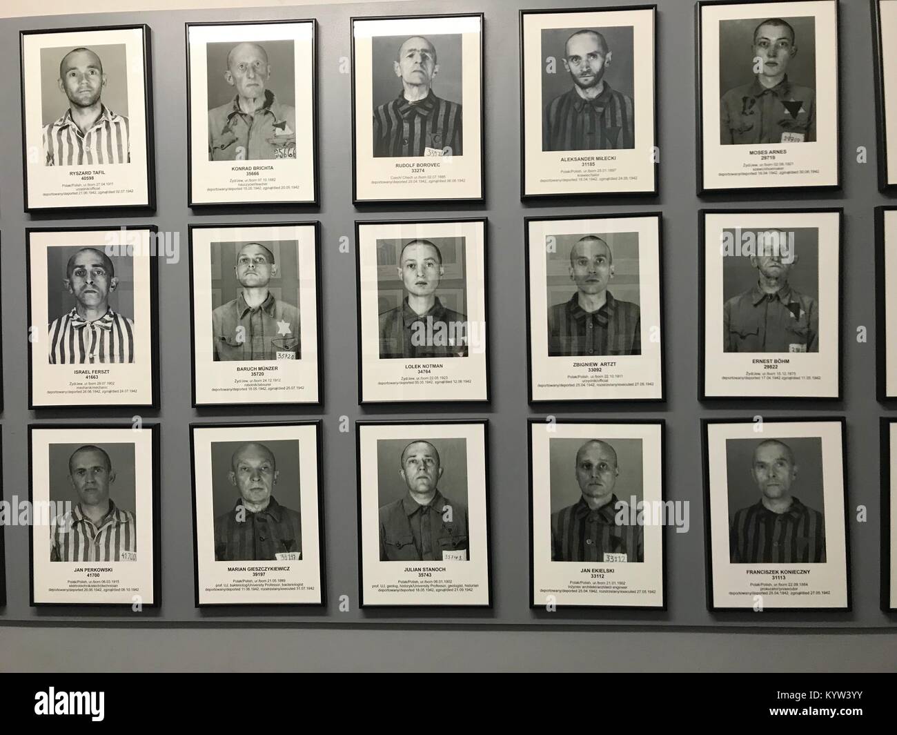I ritratti delle vittime della Shoah ad Auschwitz 1 Campo di ...