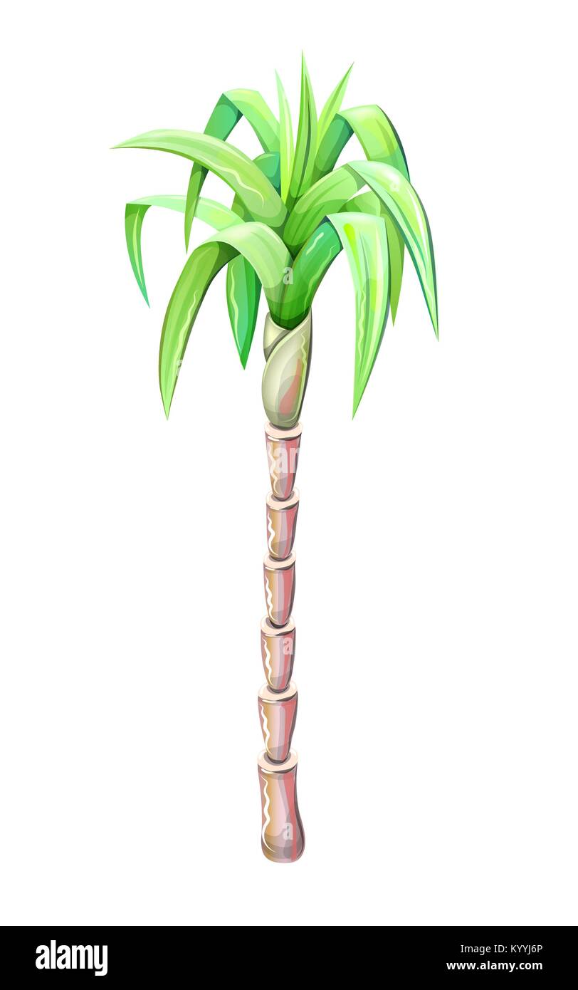 Palmo stilizzato Immagini Vettoriali Stock - Alamy
