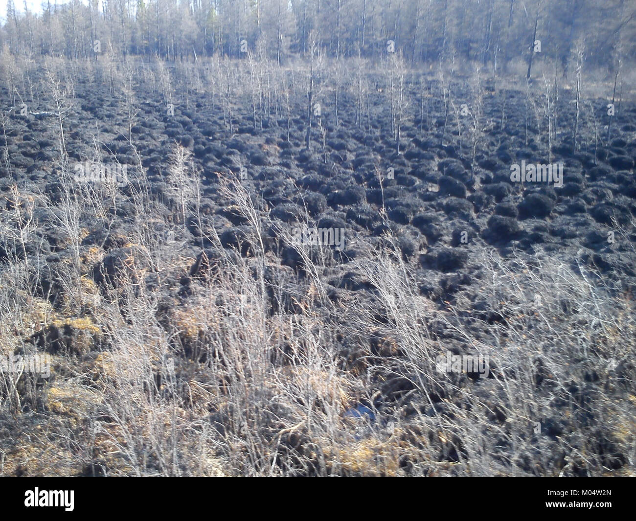 Torbiera storica immagini e fotografie stock ad alta risoluzione - Alamy