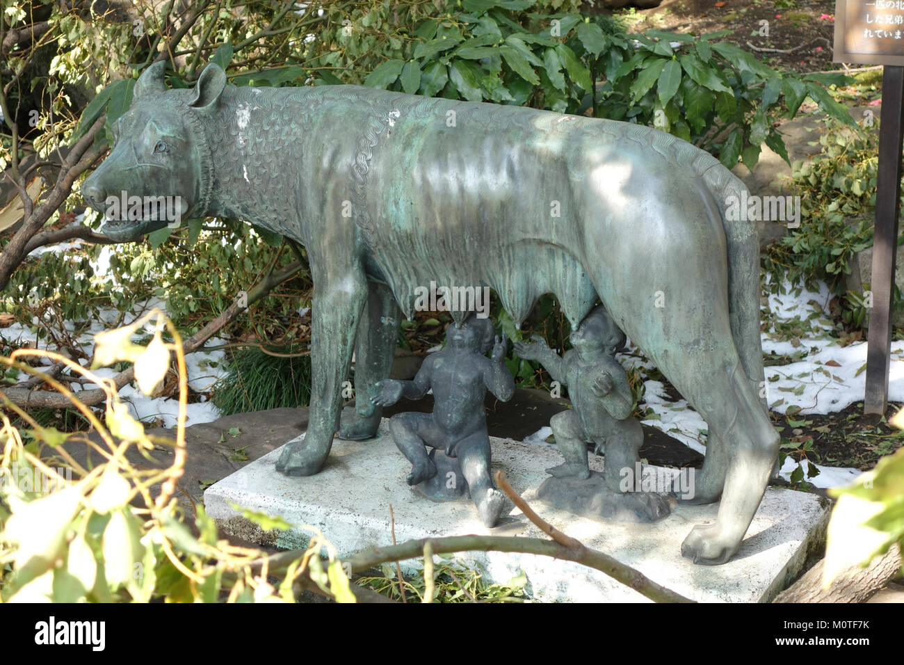 Lupo italiano immagini e fotografie stock ad alta risoluzione - Alamy