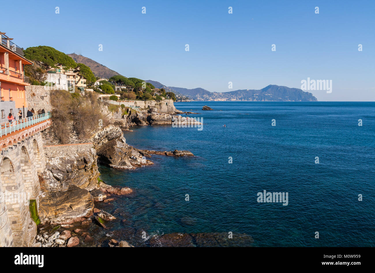 Passeggiata di nervi immagini e fotografie stock ad alta risoluzione ...