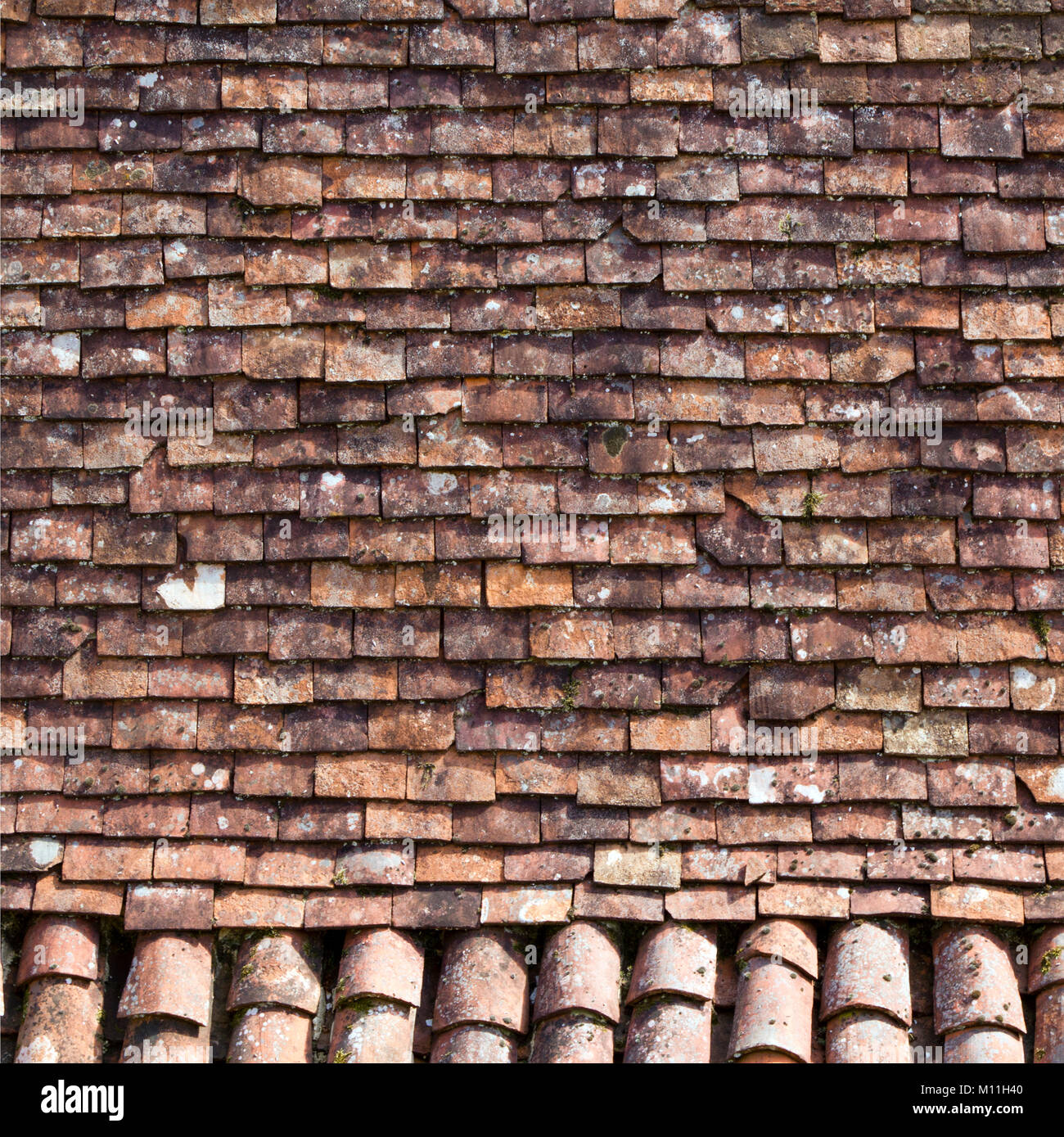 Rustica francese tegole del tetto texture Foto stock - Alamy