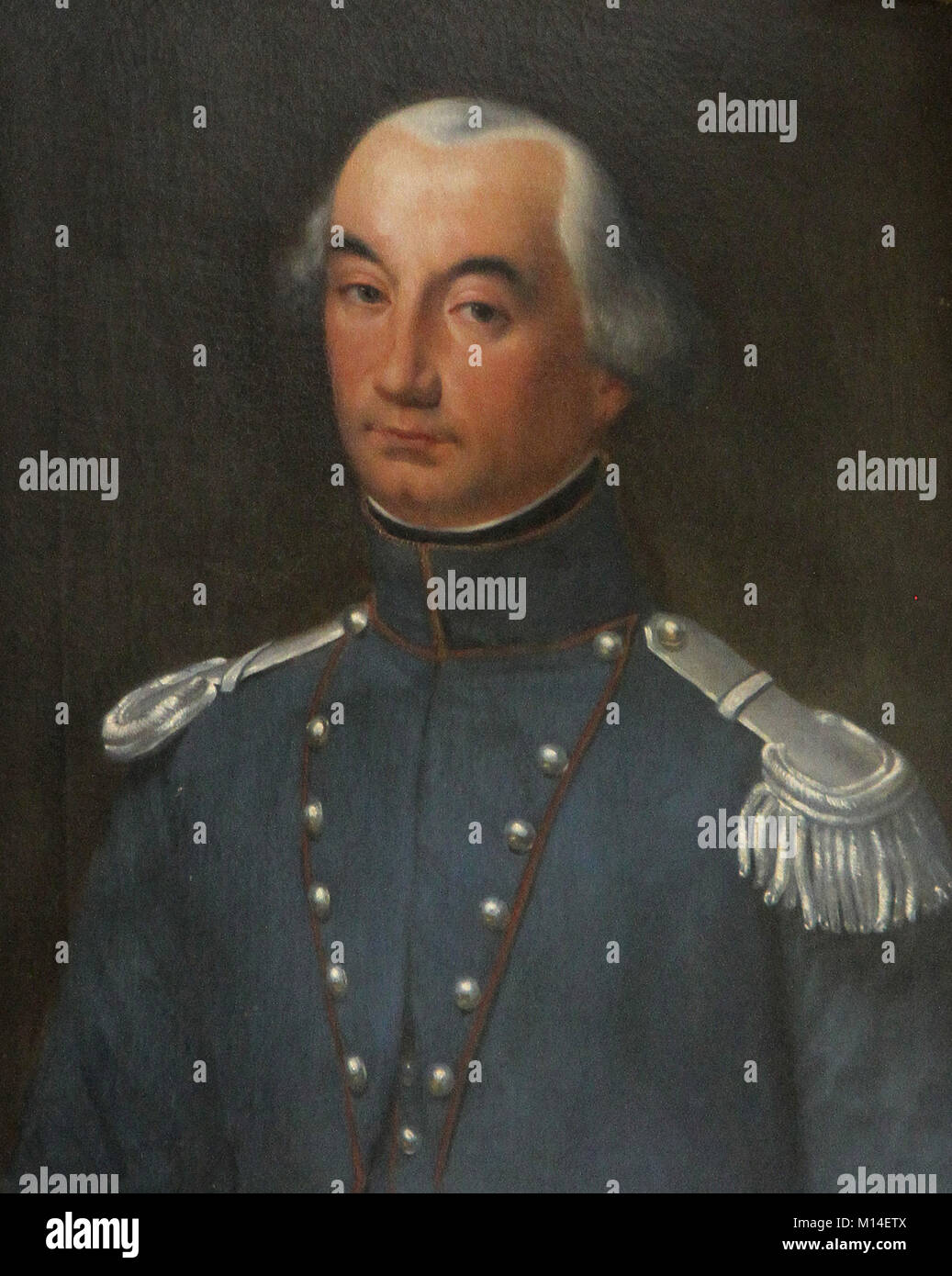 Olio su tela dipinto ritratto di tenente colonnello Dominique Catherine ...