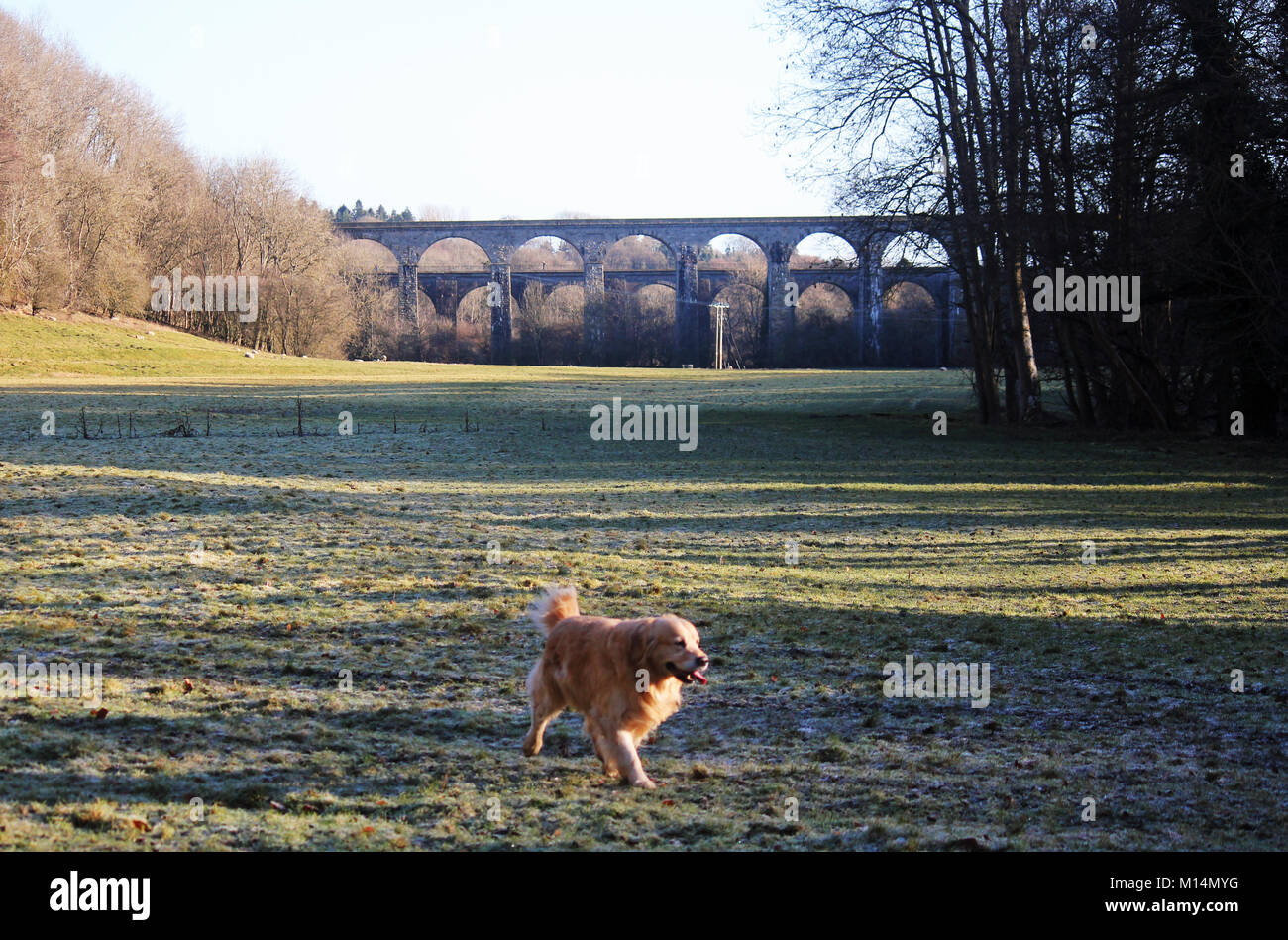 Aquaduct chirk aquaduct e viaduct immagini e fotografie stock ad alta ...