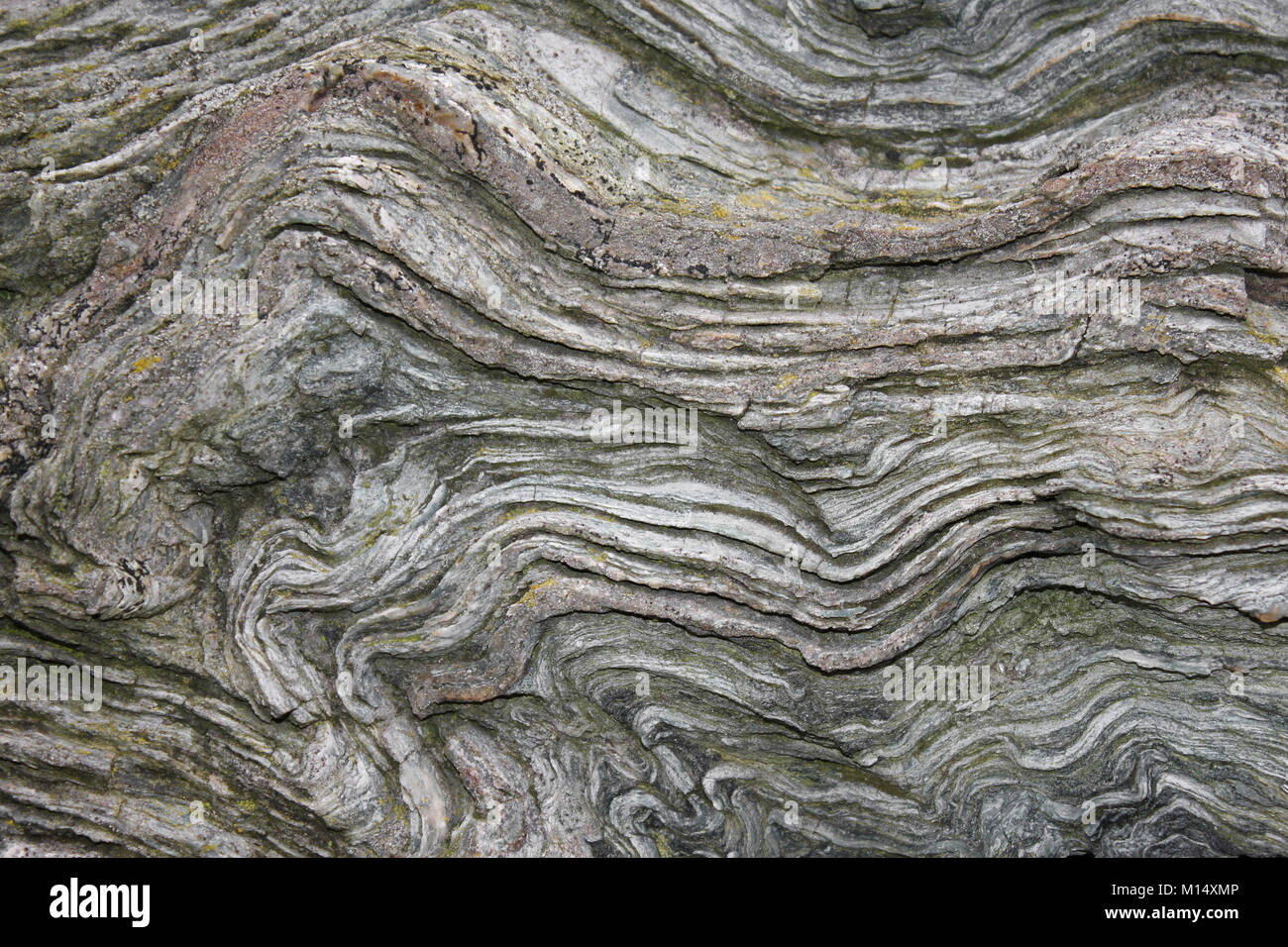 Metamorphic rock schist immagini e fotografie stock ad alta risoluzione ...