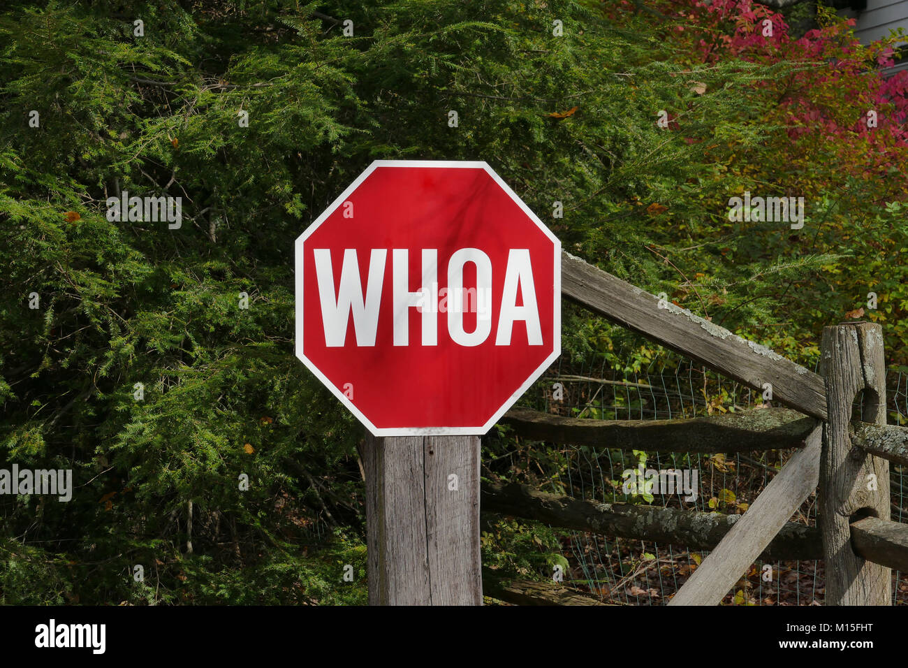 Strange traffic signs immagini e fotografie stock ad alta risoluzione ...