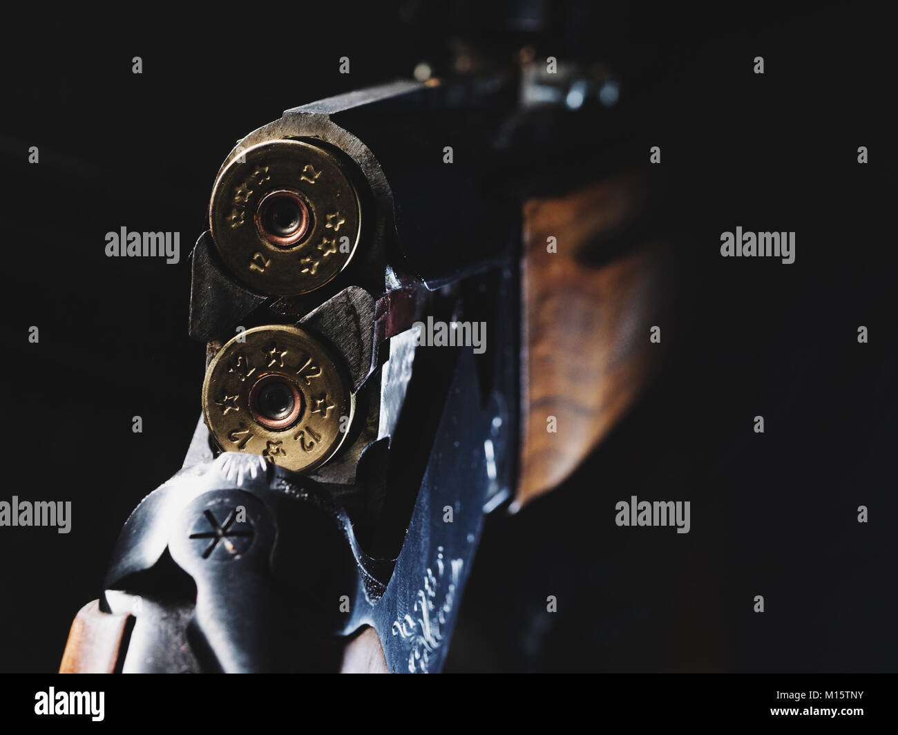 Gusci di fucile da caccia e tiro su sfondo nero. Caricato con ...