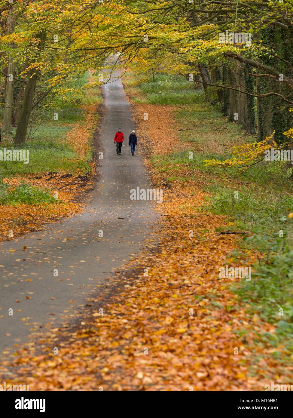 Paio di camminare lungo una strada di campagna in autunno Foto stock ...