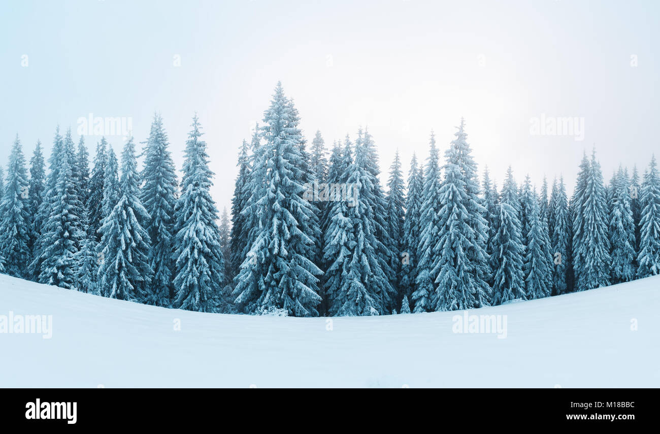 Paesaggio invernale immagini e fotografie stock ad alta risoluzione - Alamy