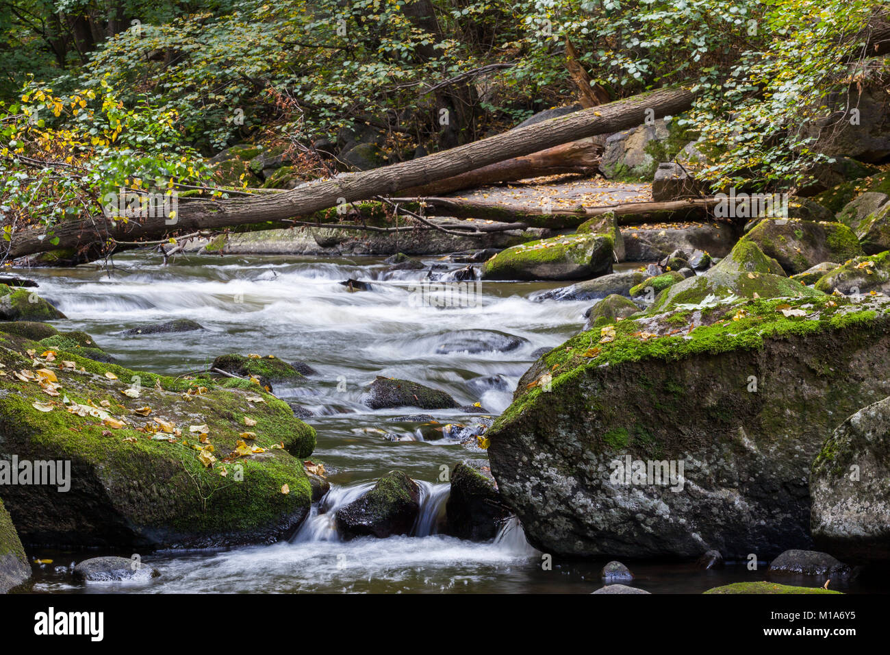 Steine im fluss immagini e fotografie stock ad alta risoluzione - Alamy
