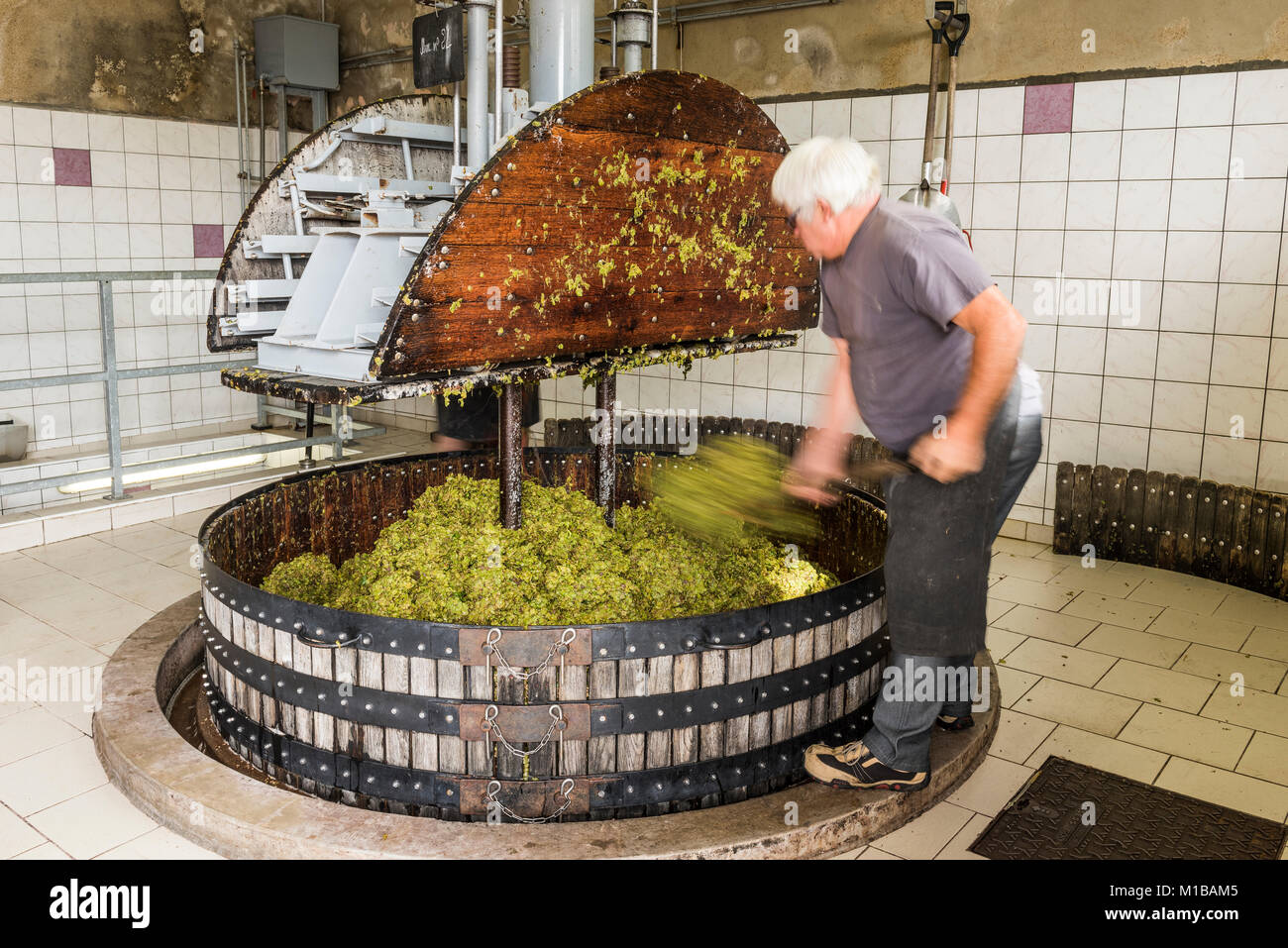 Macchina da spremitura del vino immagini e fotografie stock ad alta ...