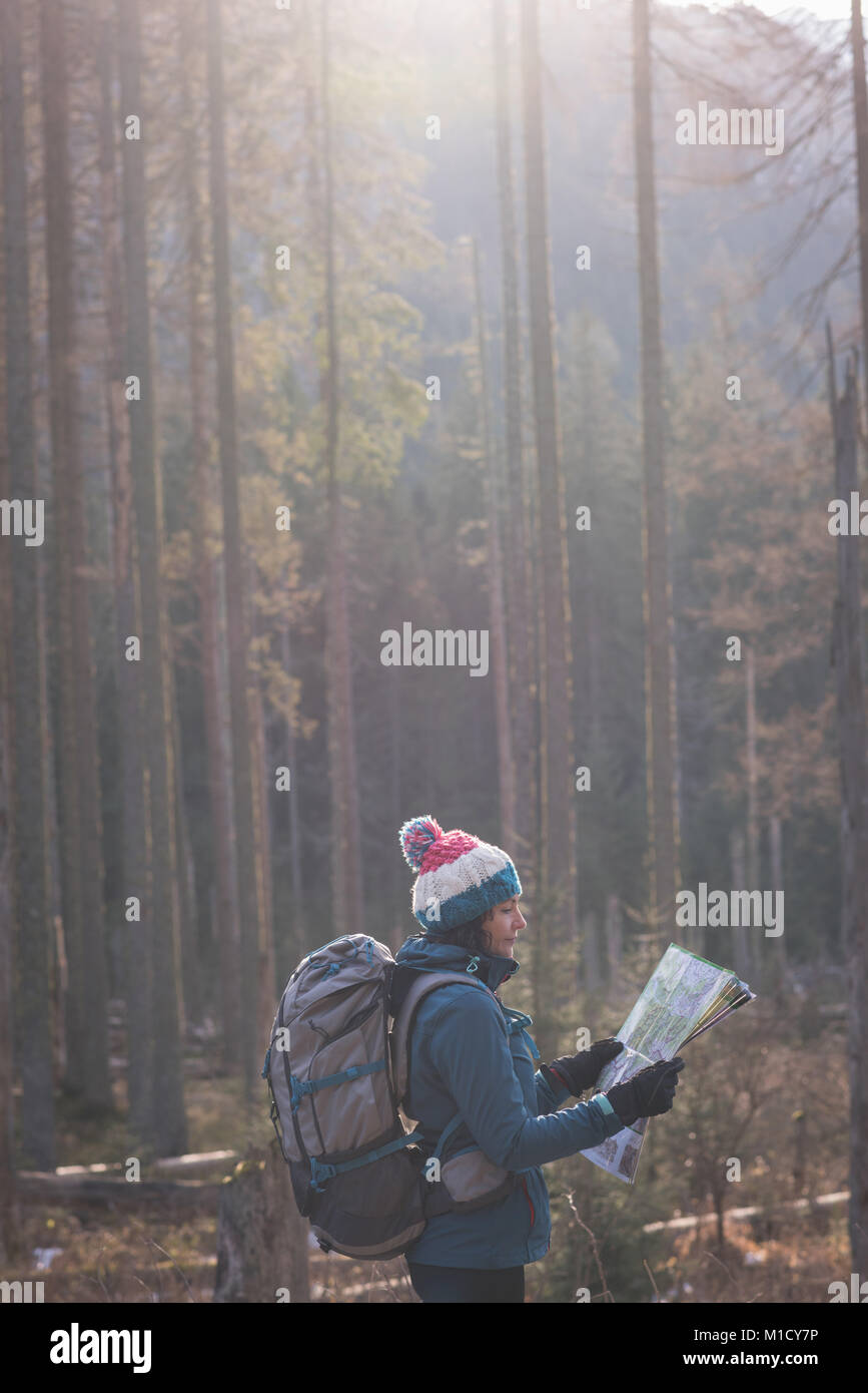 Escursionista guardando la mappa immagini e fotografie stock ad alta ...