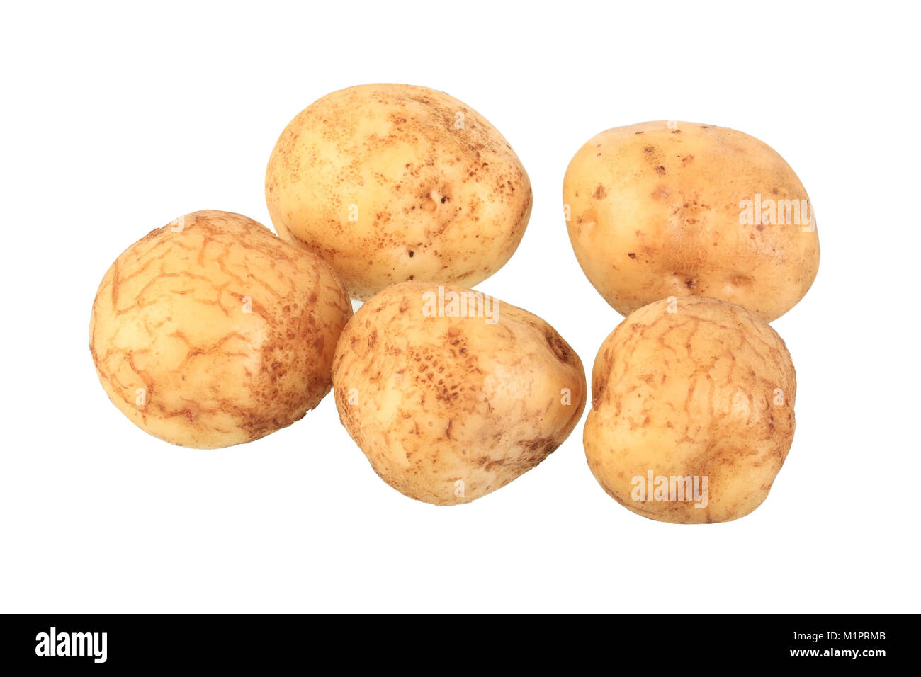 Varietà di patate, La Barotte piastre libero, Kartoffelsorte La Barotte ...