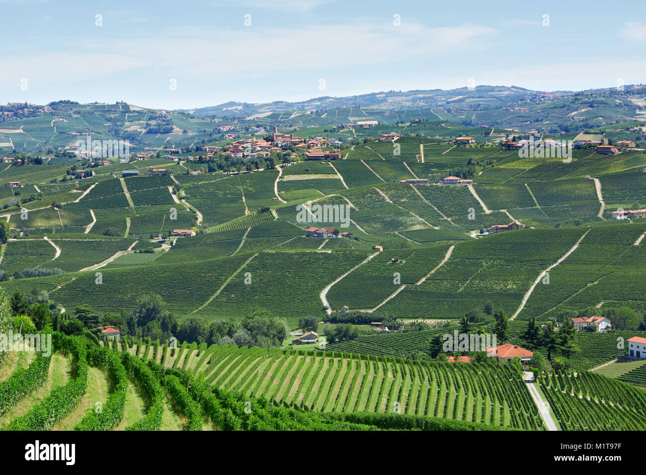 Campagna verde di vigneti e di Serralunga d'Alba città del Piemonte ...