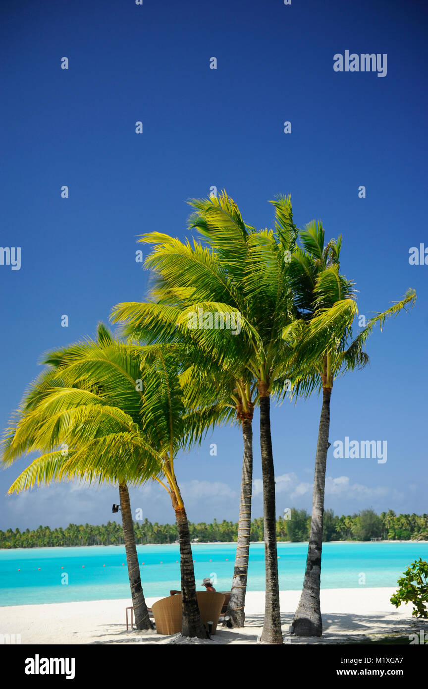 Spiaggia Di Bora Bora Immagini e Fotos Stock - Alamy