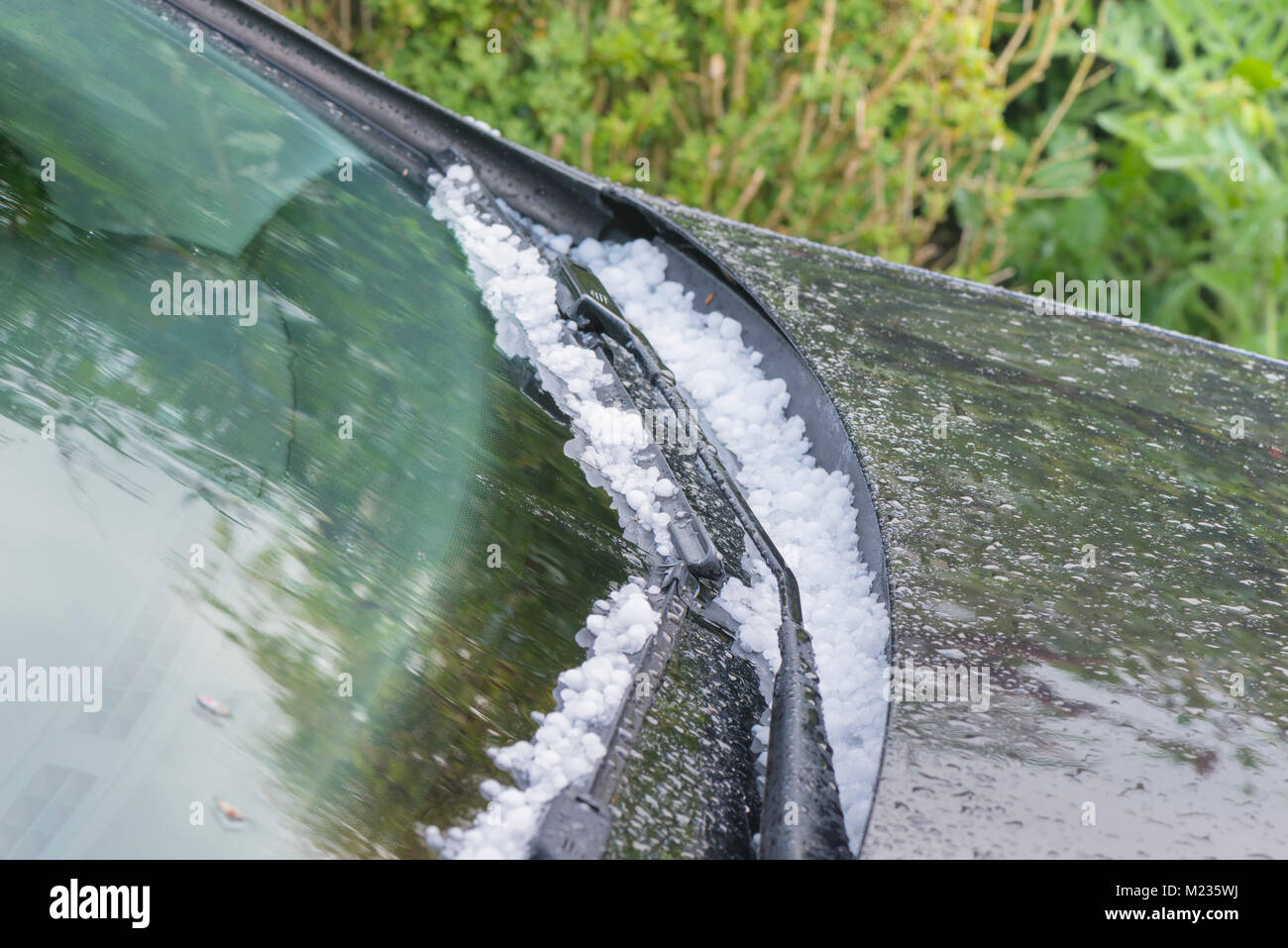 Grandine ghiacciata immagini e fotografie stock ad alta risoluzione - Alamy