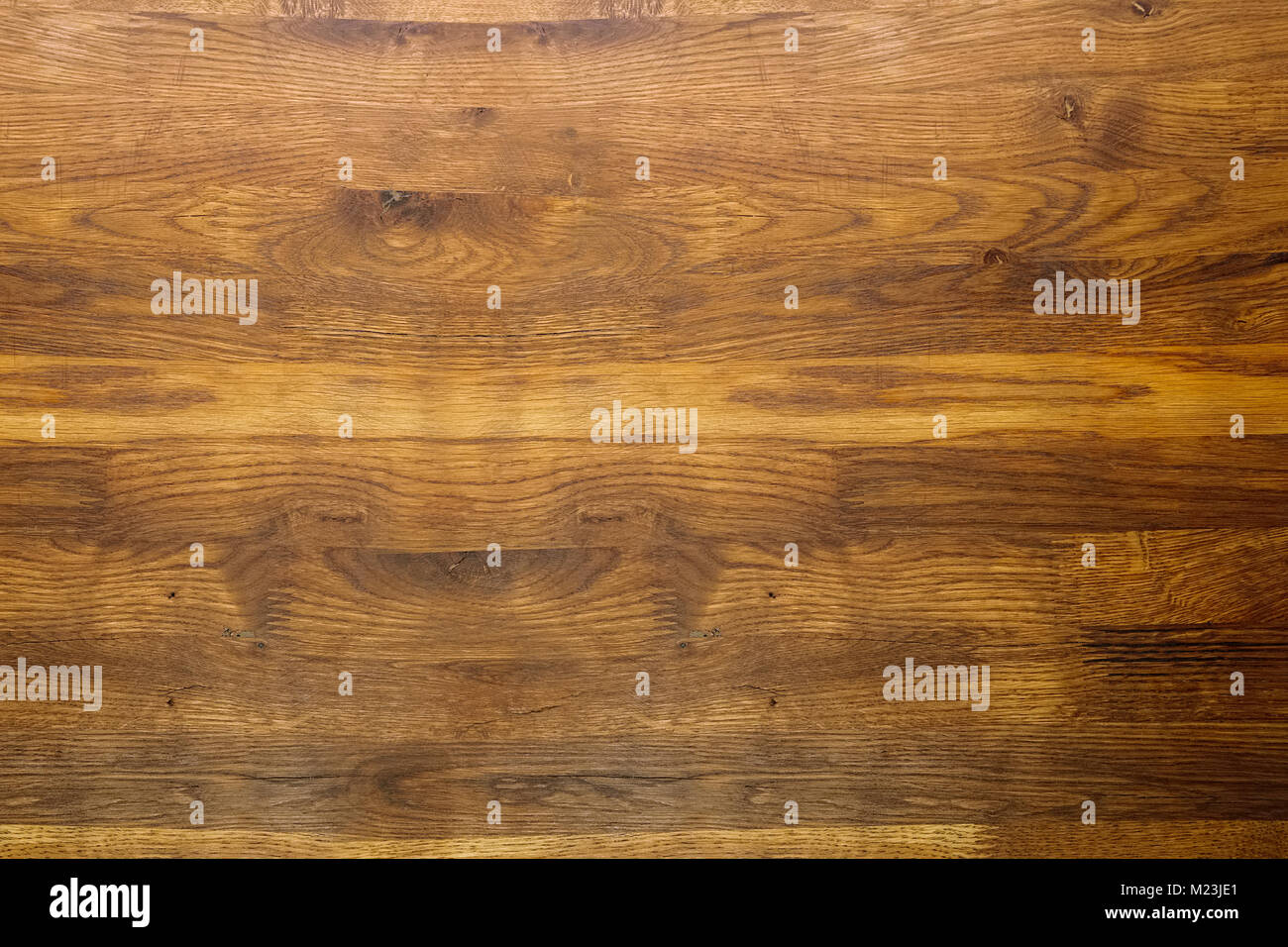 Breite eichen immagini e fotografie stock ad alta risoluzione - Alamy